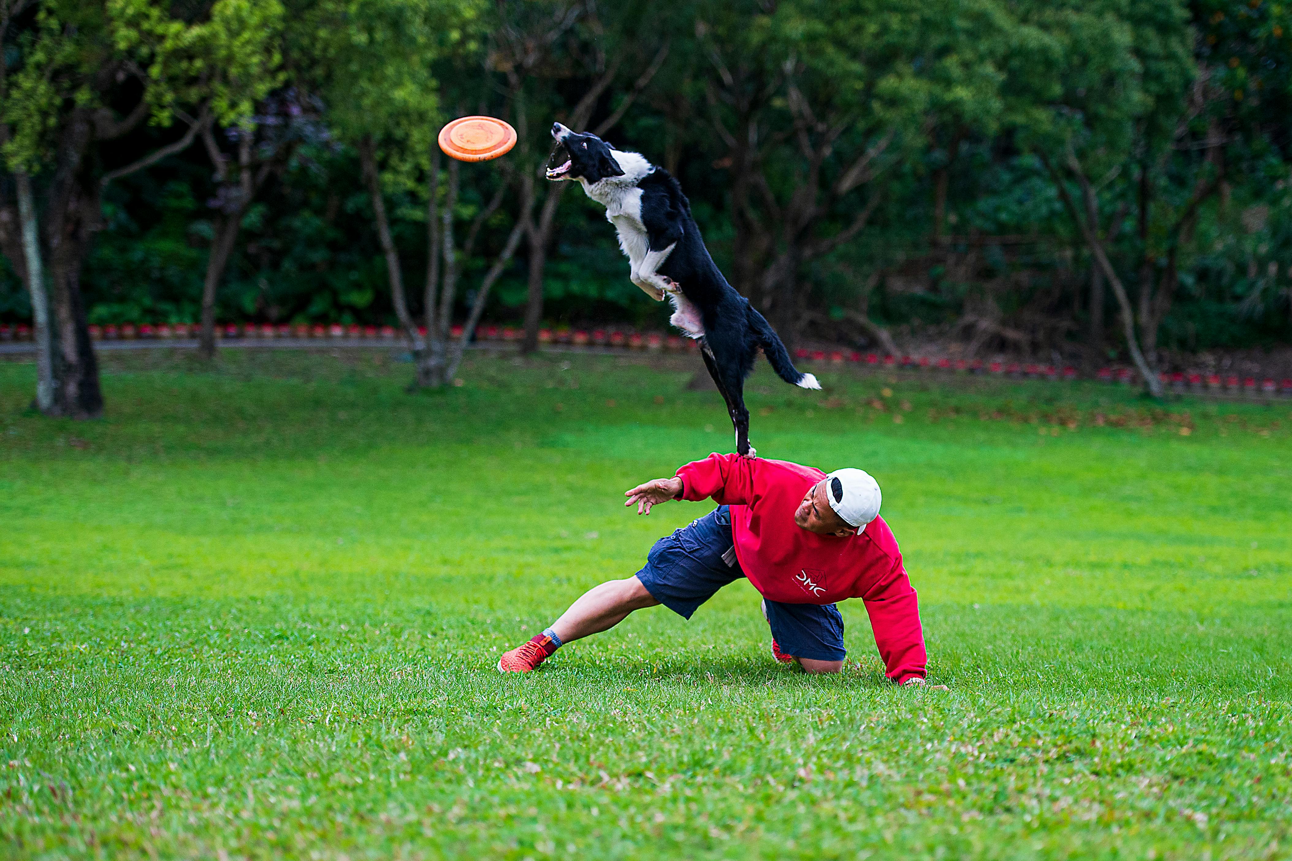 A Man Playing Frisbee with His Dog on the Field · Free Stock Photo