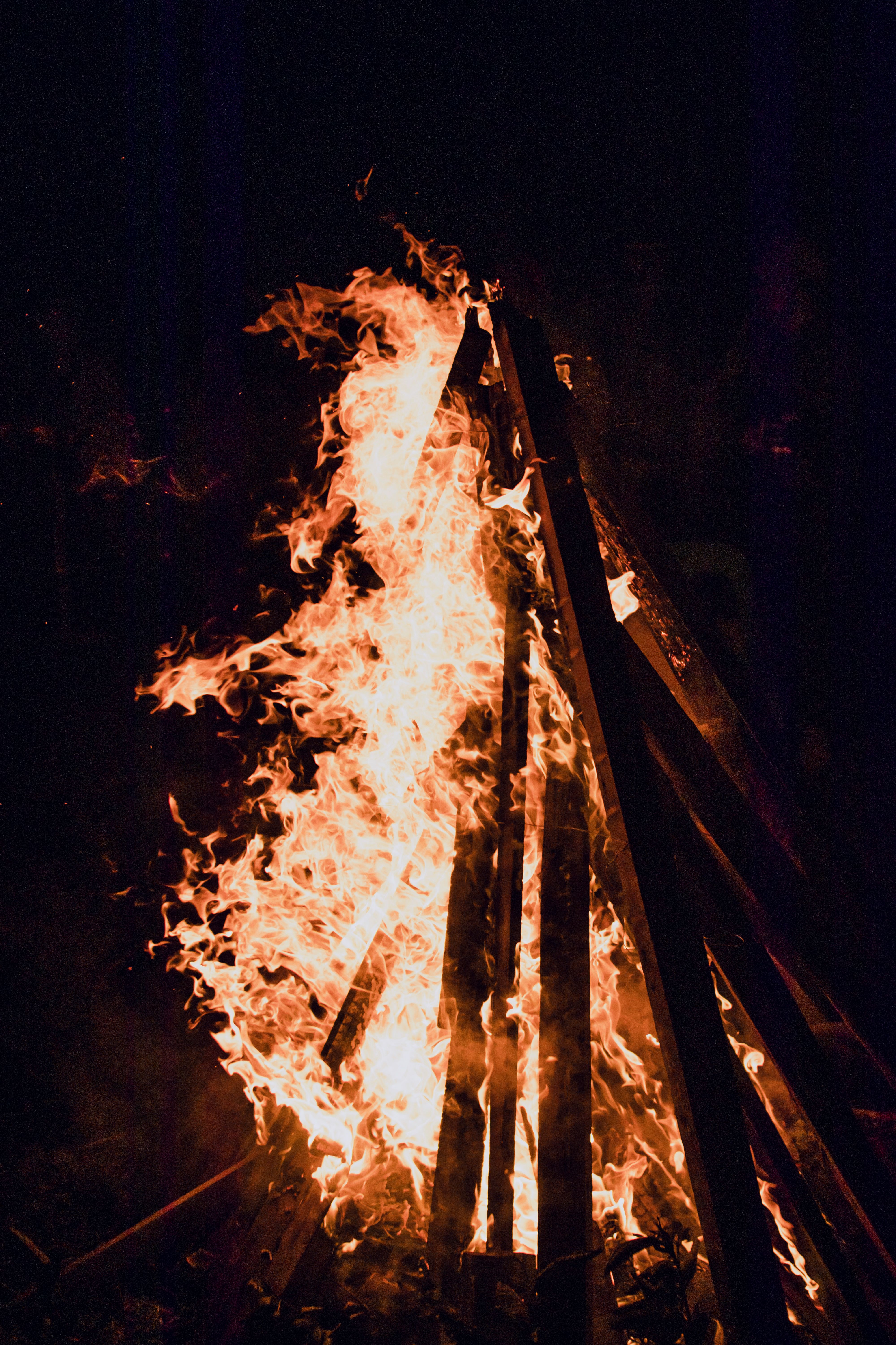People Sitting Around Bonfire during Nighttime · Free Stock Photo