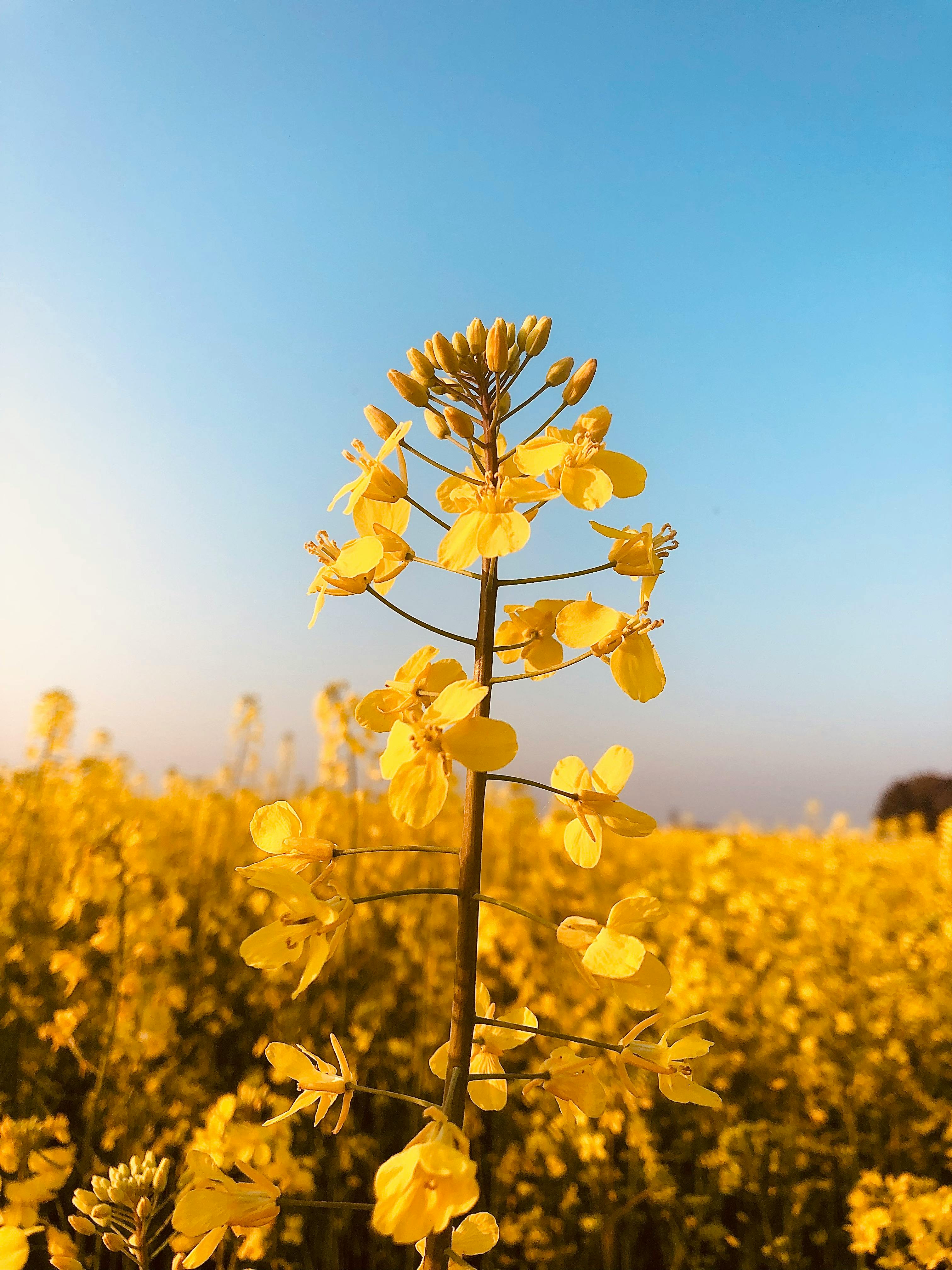 Everything Photos, Download The BEST Free Everything Stock Photos & HD ...