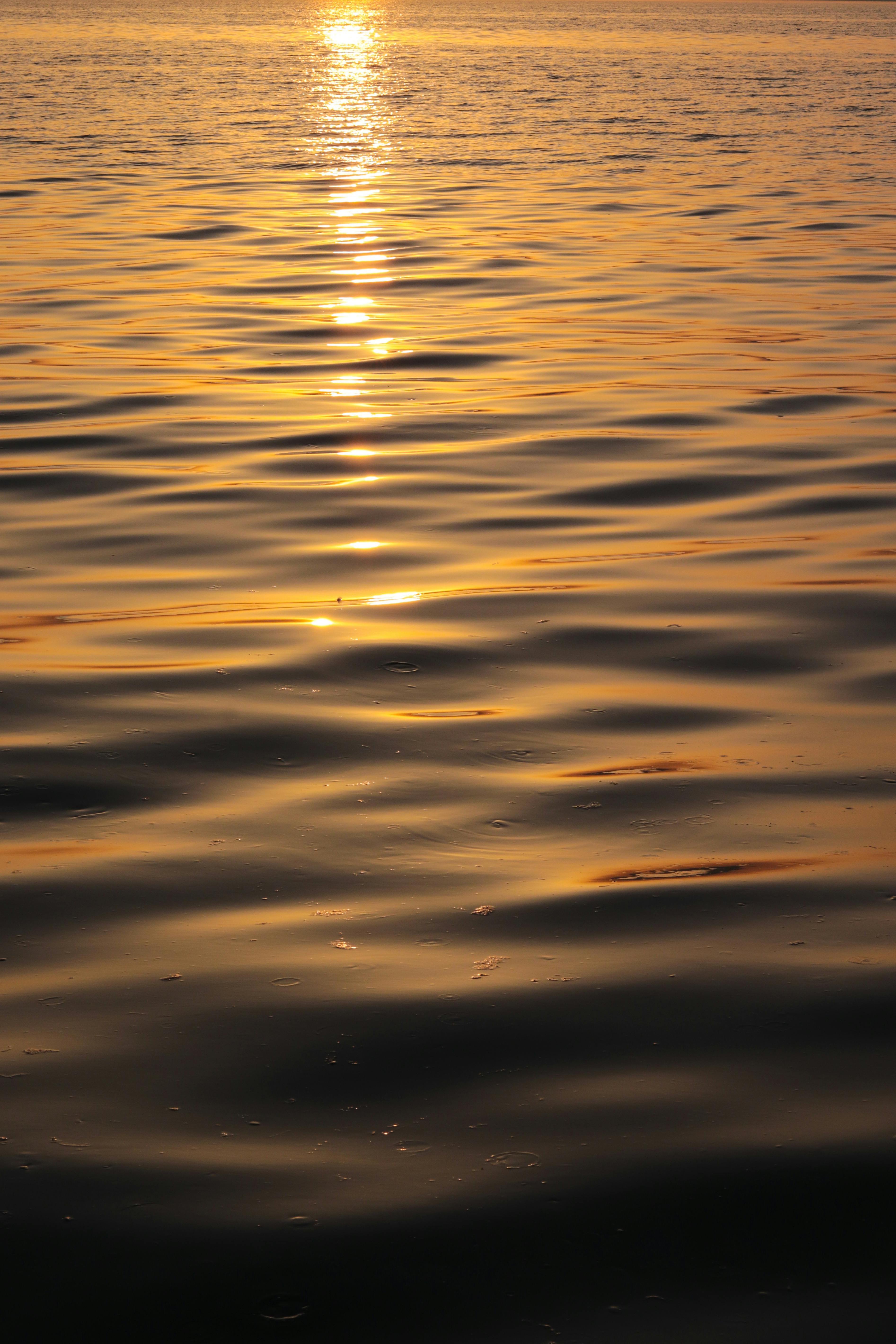 A Faint Reflection of the Sunlight in the Sea · Free Stock Photo