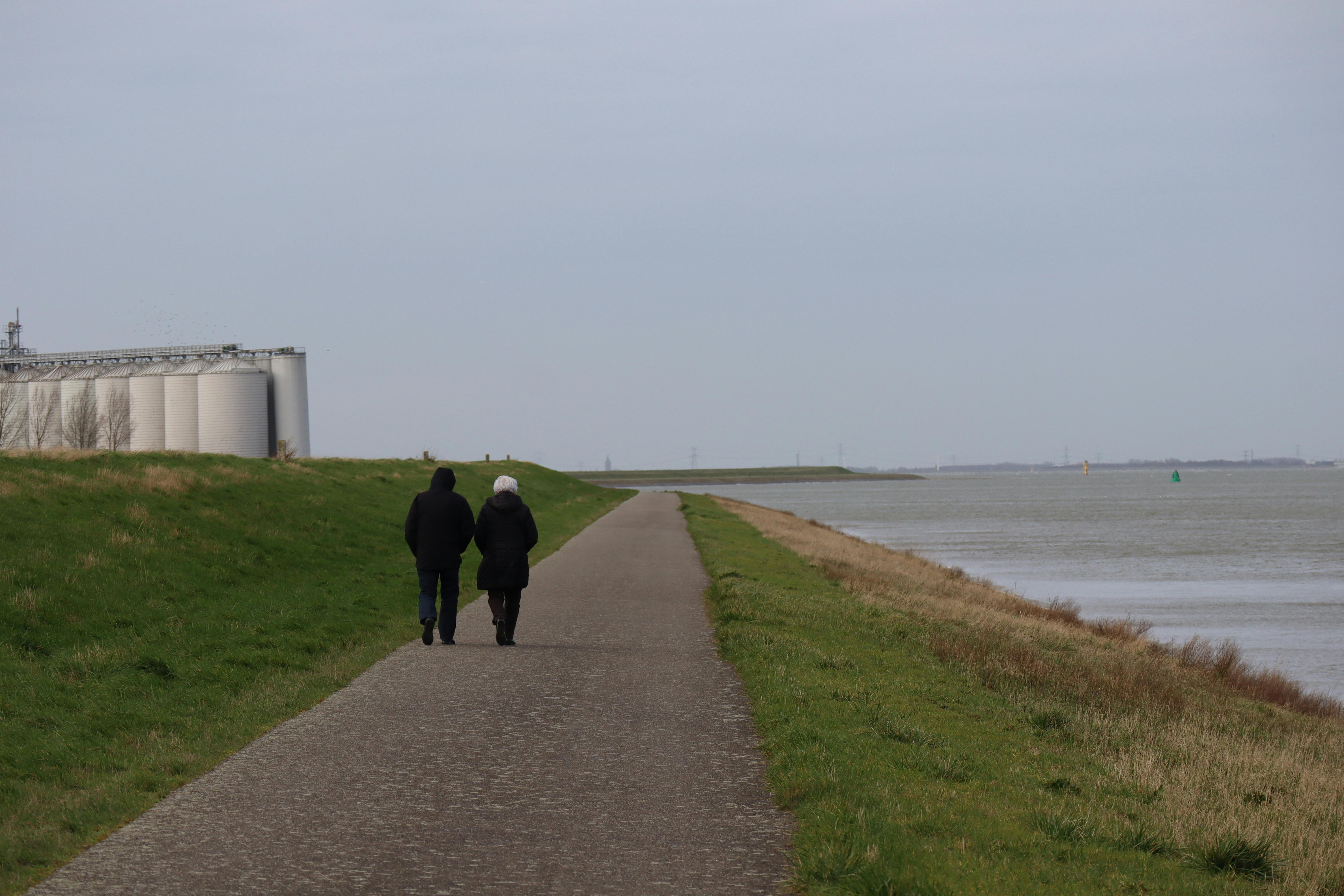 People Walking on a Pathway Near a Body of Water · Free Stock Photo