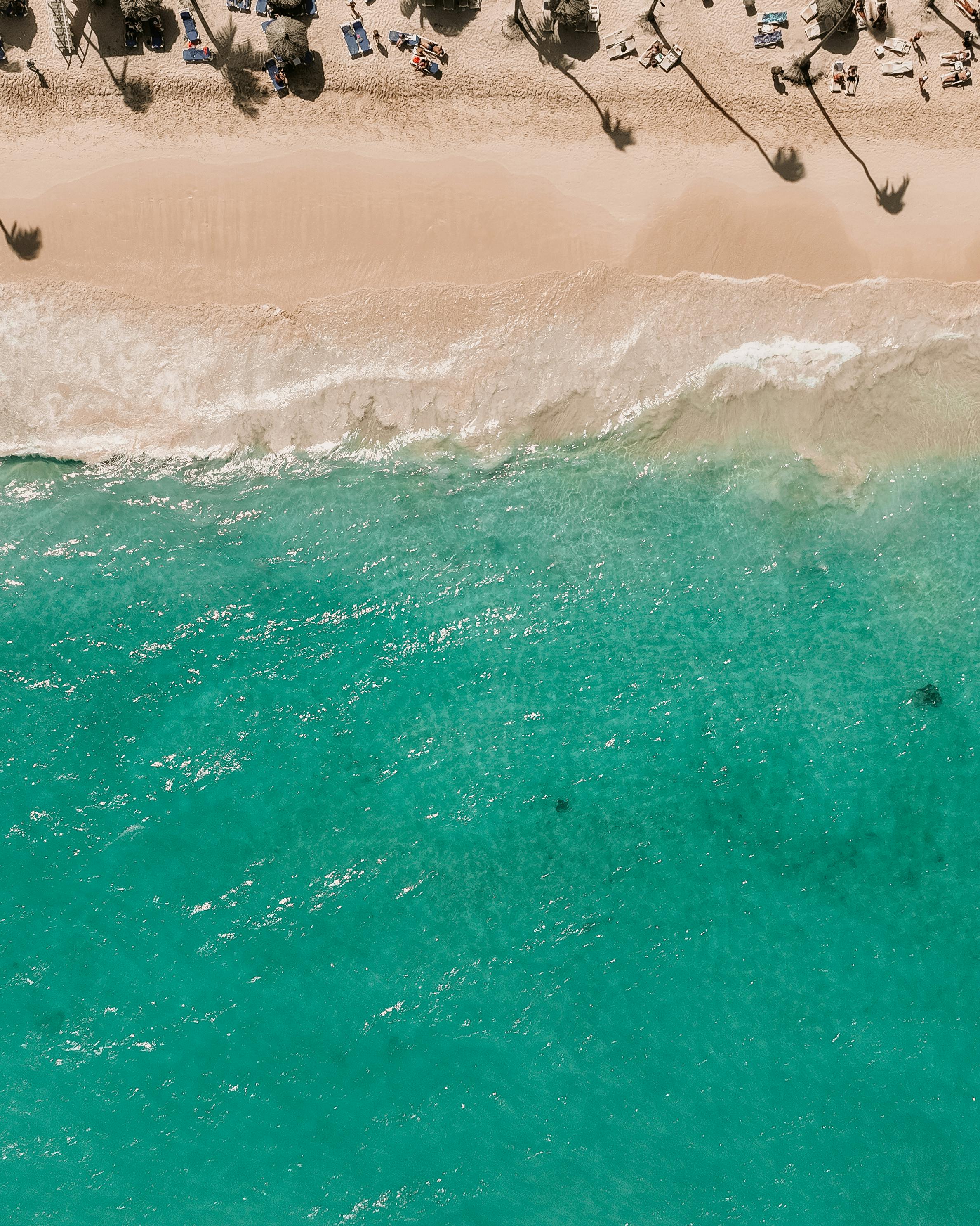 Beach Along Turquoise Sea · Free Stock Photo
