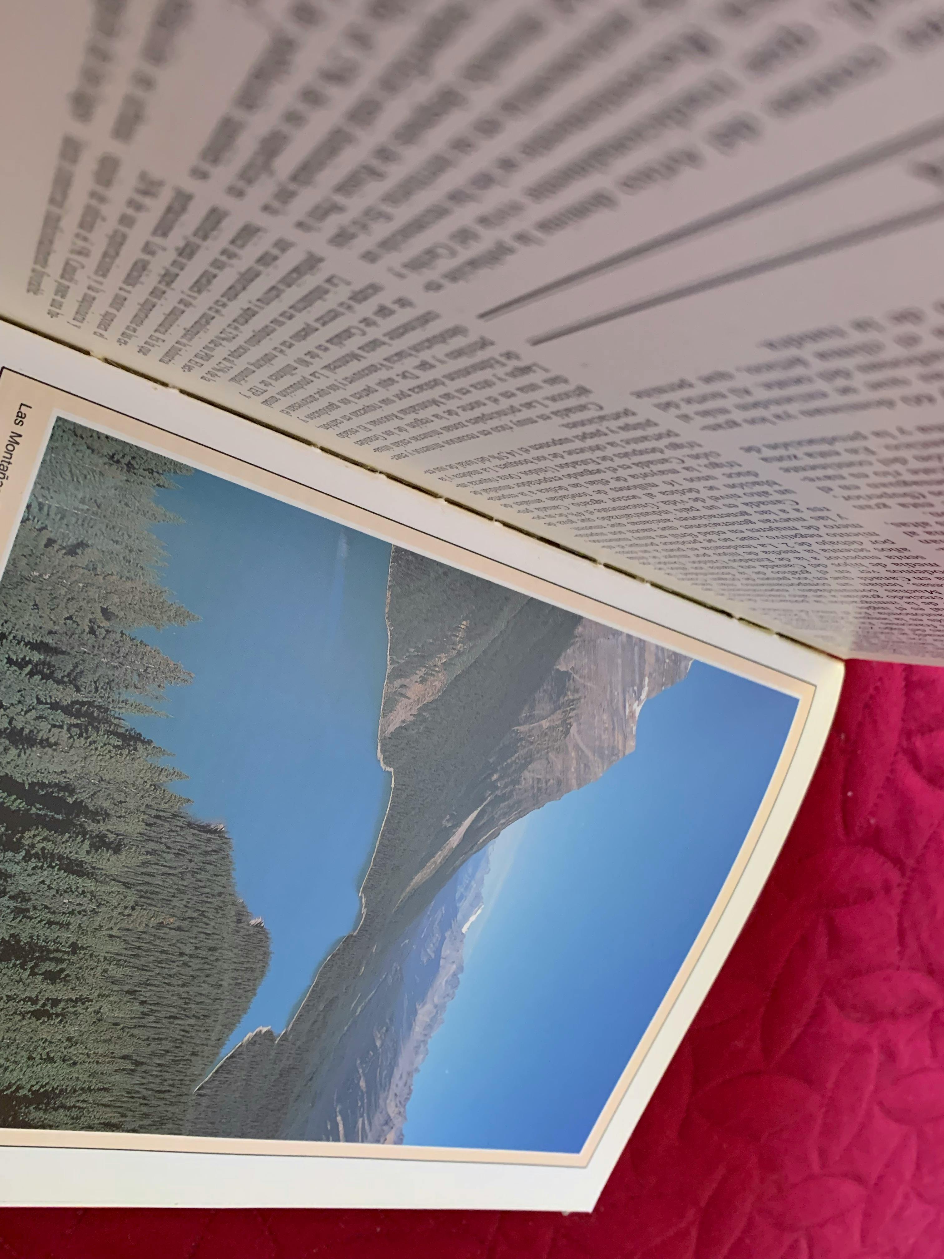 Leslie Duarte Castro – Fotografia