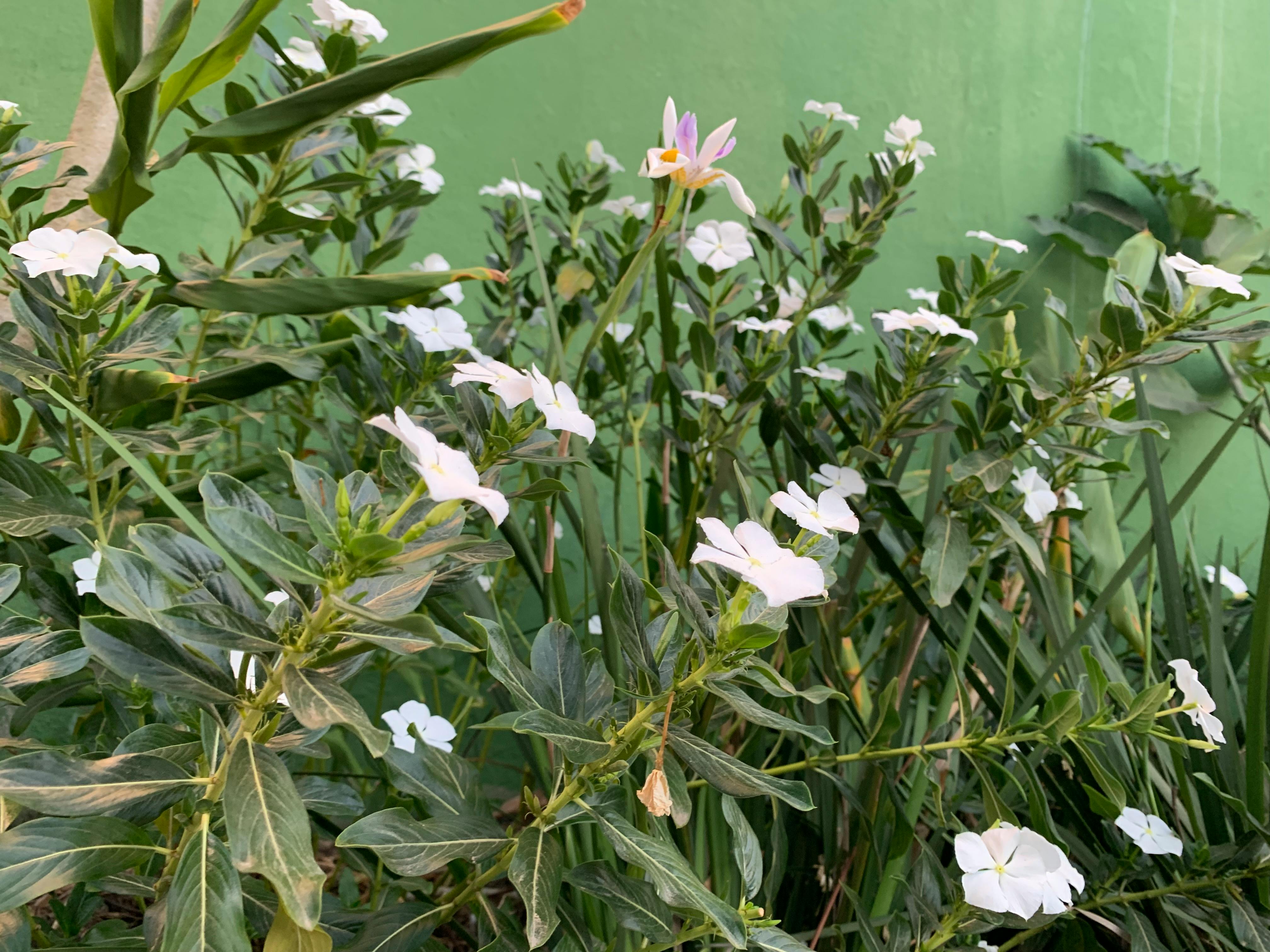 Leslie Duarte Castro - Fotoğrafçılık