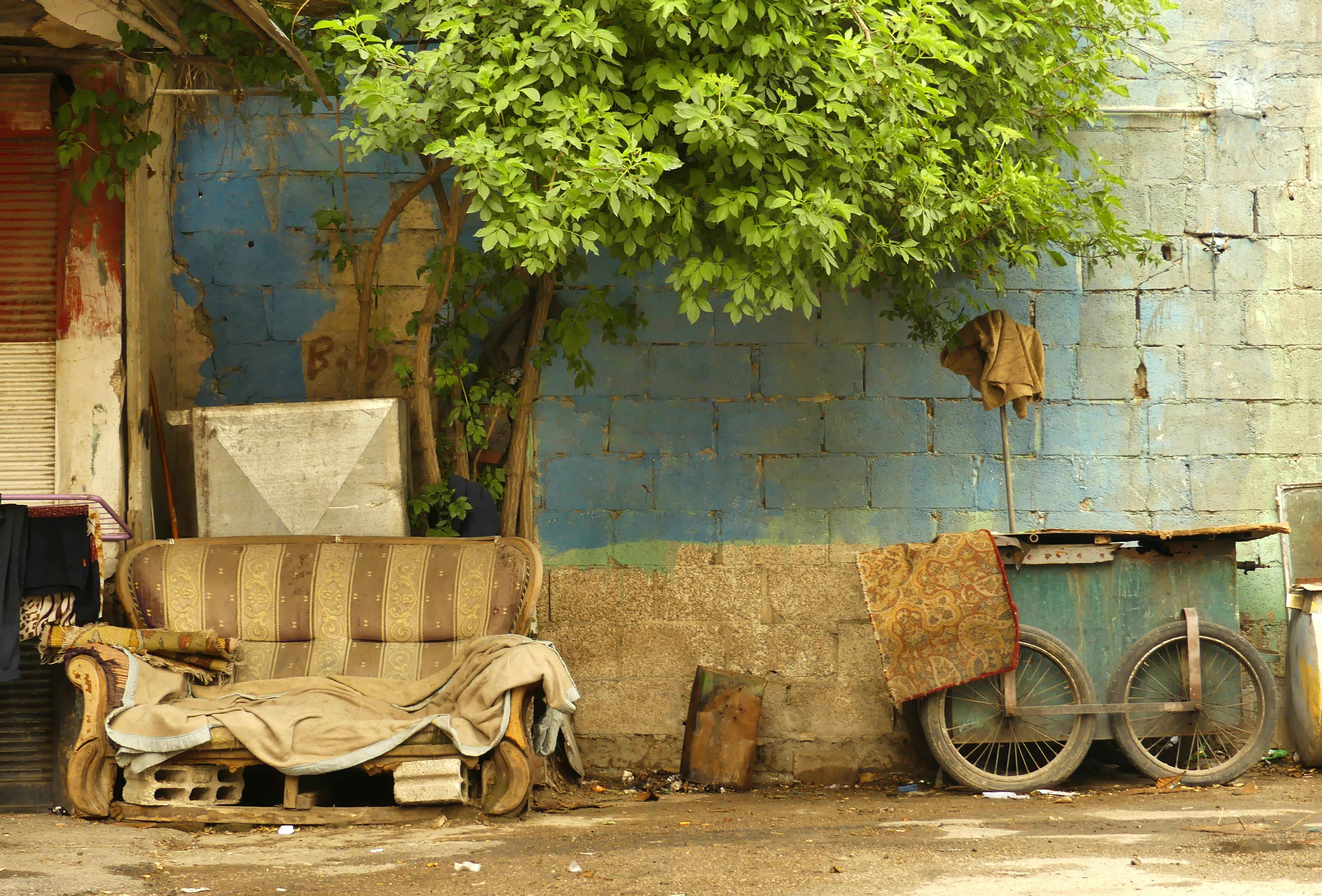 Best Damascus Photos · 100% Free Download · Pexels Stock Photos