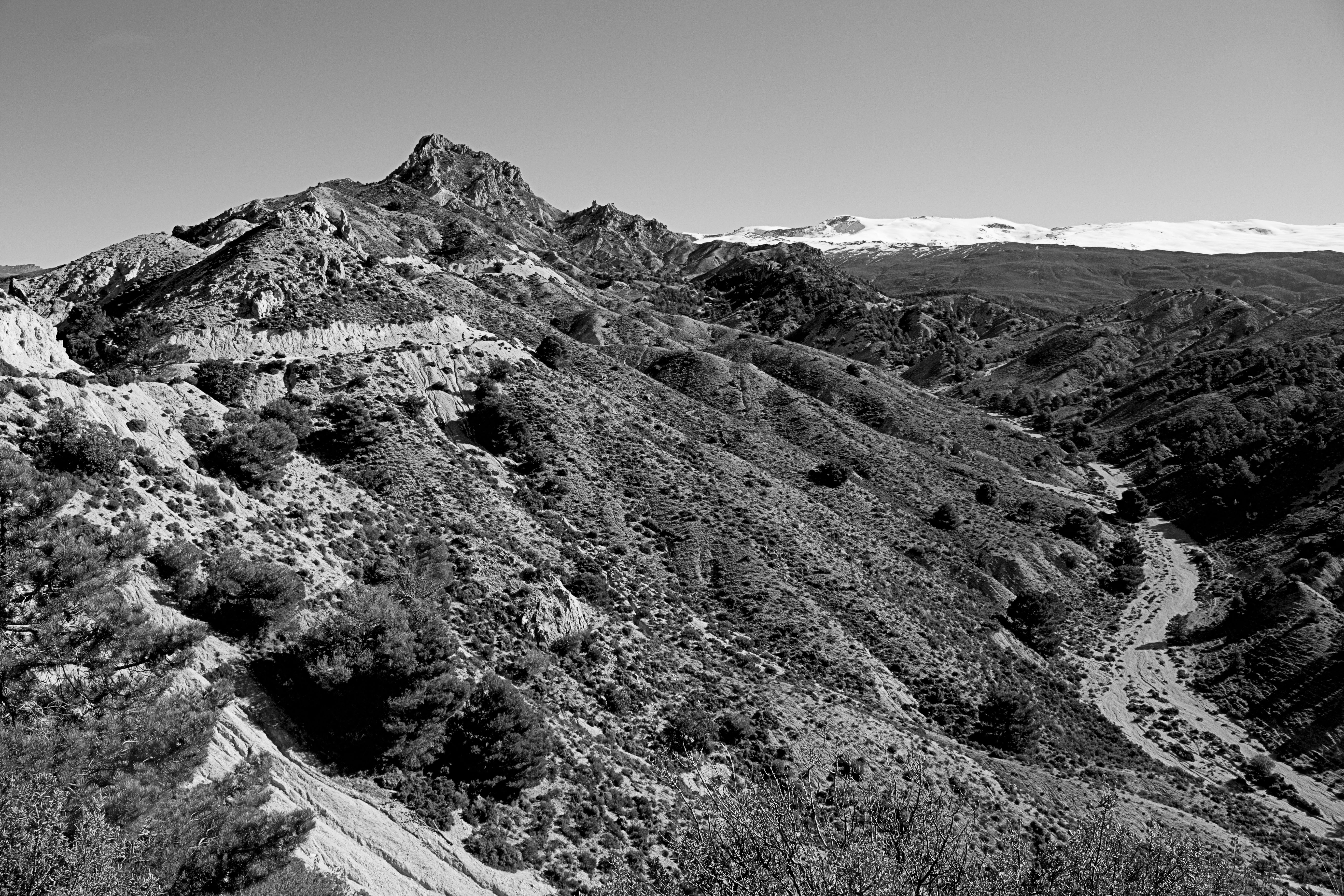 A Grayscale of a Mountain Range · Free Stock Photo