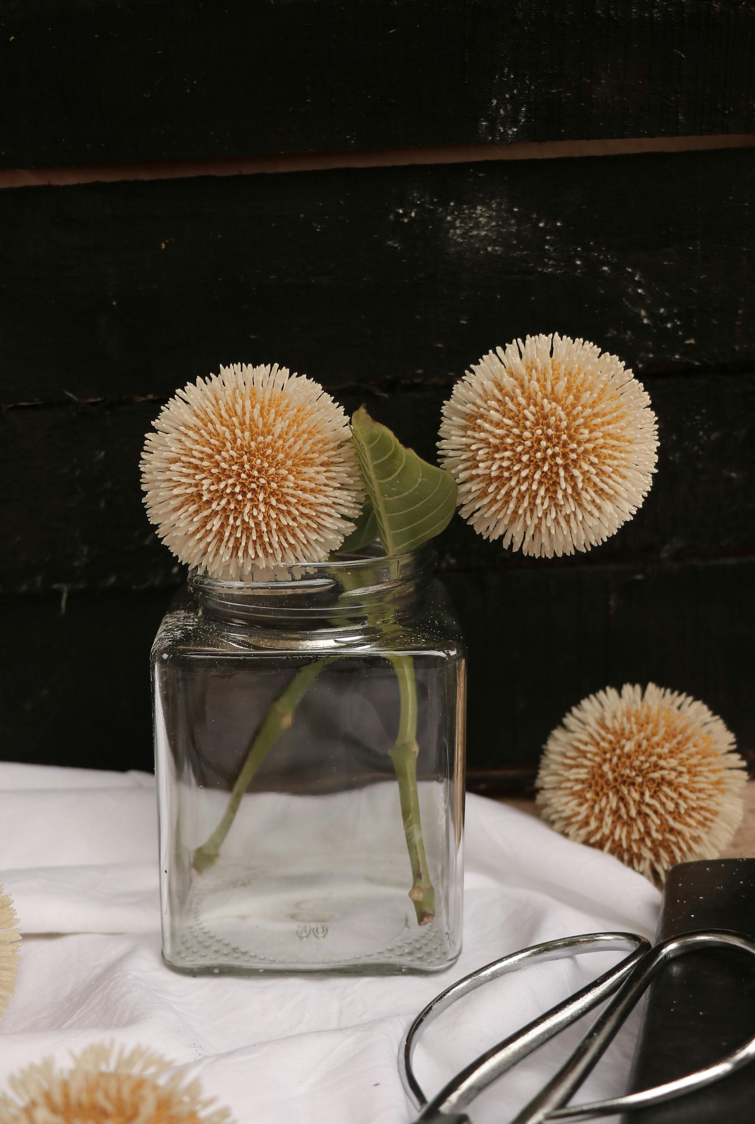 Burflowers Photos, Download The BEST Free Burflowers Stock Photos & HD ...