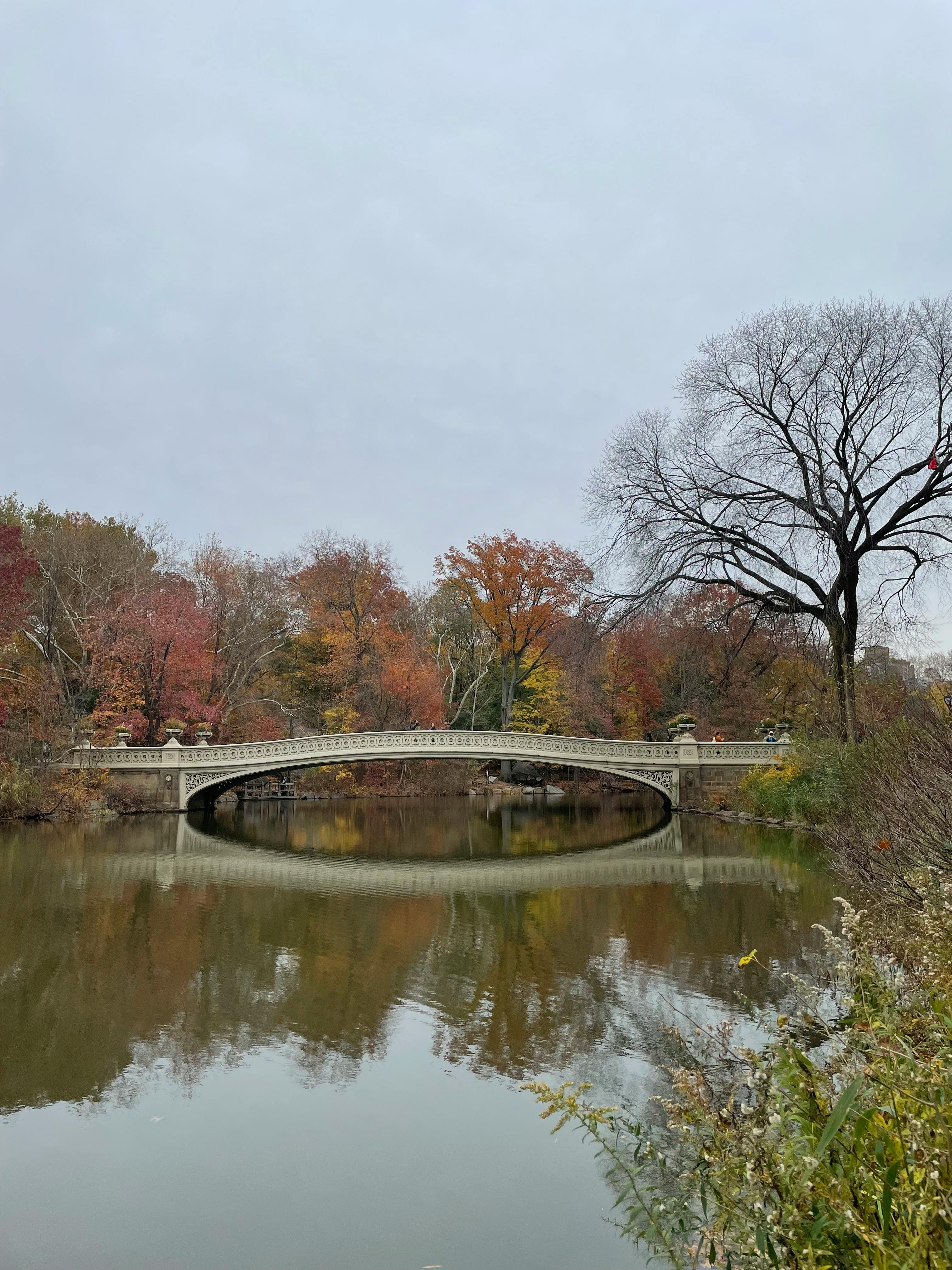 Bridge Over A River · Free Stock Photo