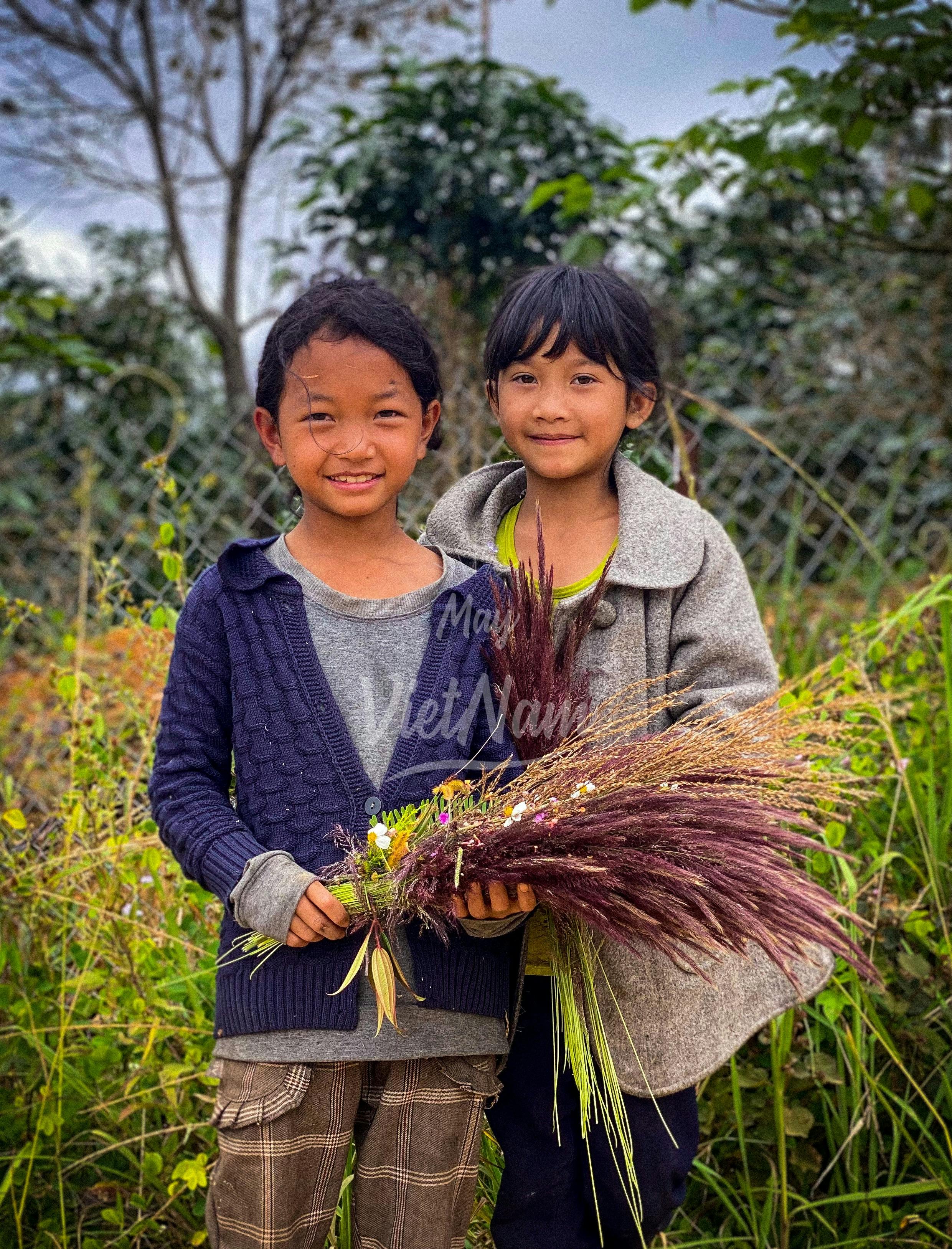 Photograph of Girls Holding Grass · Free Stock Photo