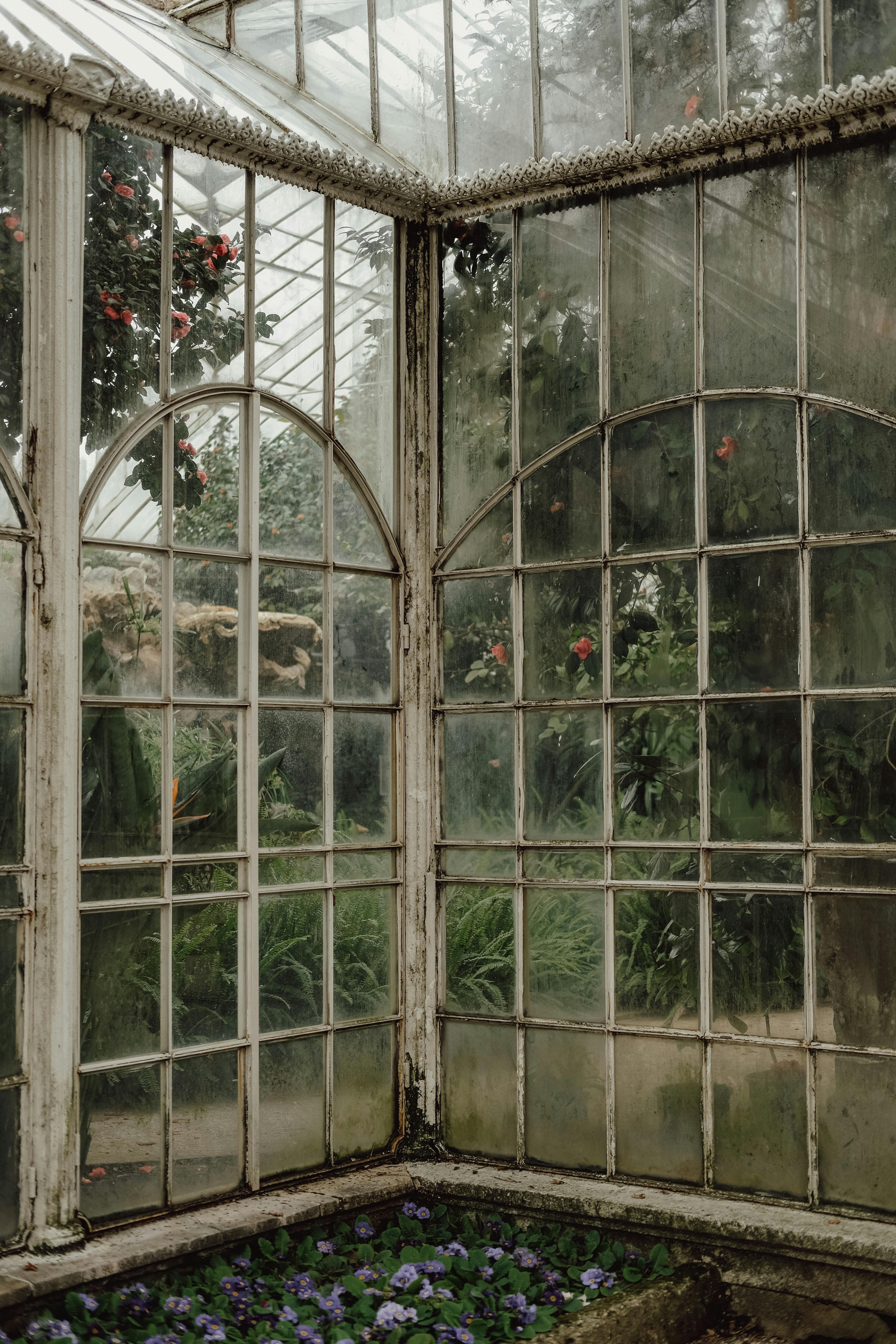 Old Greenhouse Exterior · Free Stock Photo