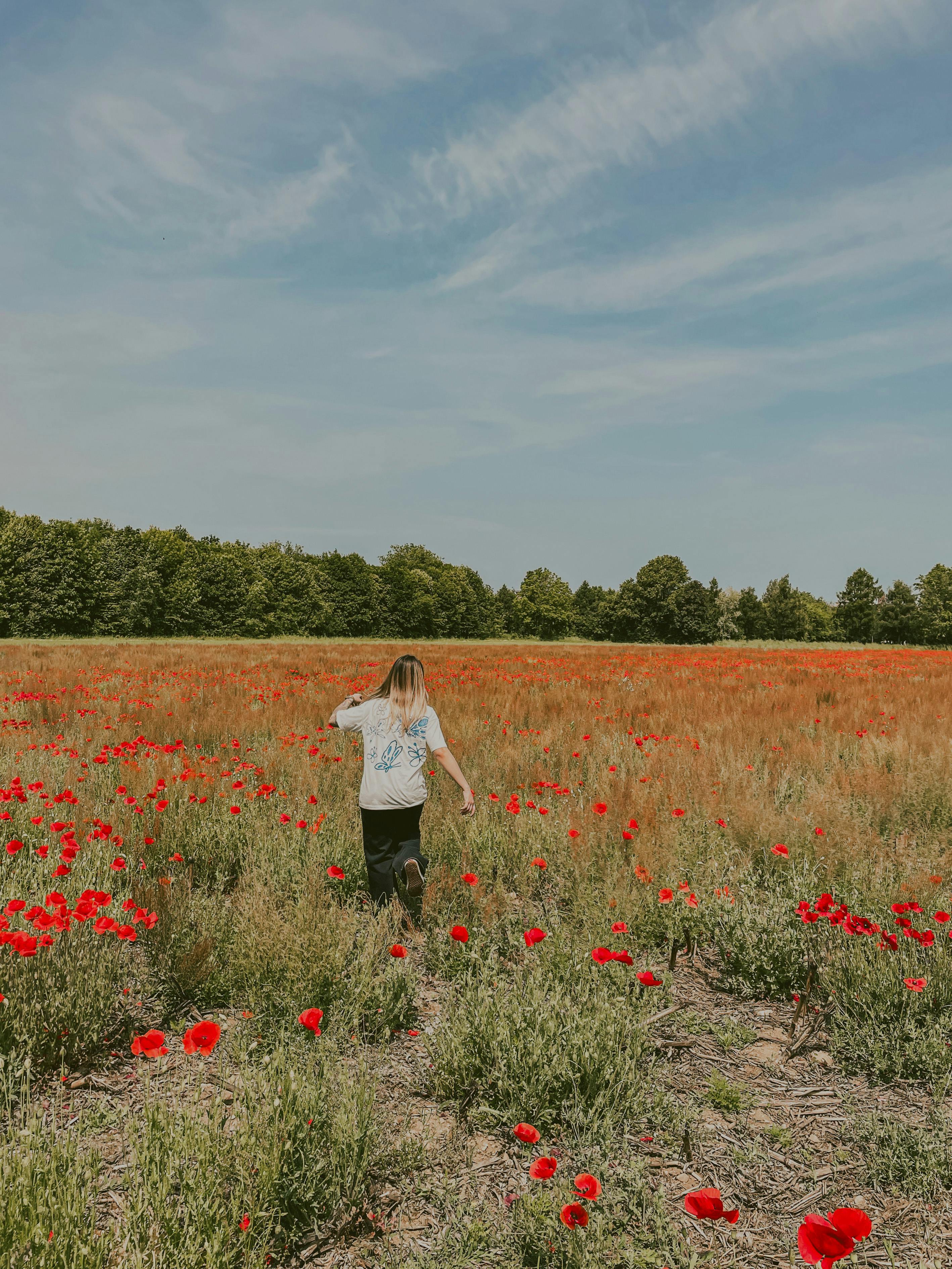 Woman Walking Through a Summer Meadow Filled With Red Blooming Poppies ...