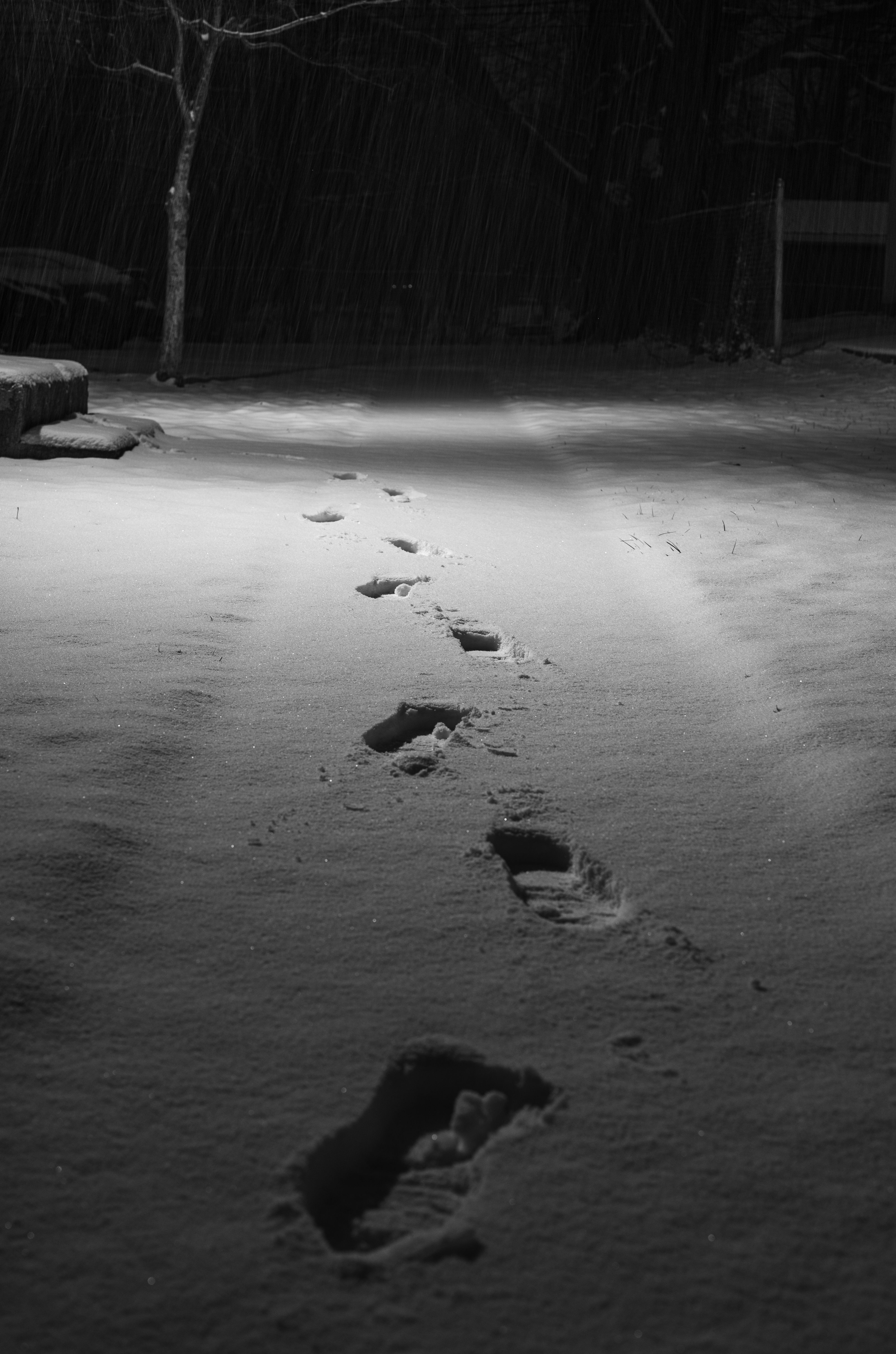 Grayscale Photo of Footprints on the Snow · Free Stock Photo