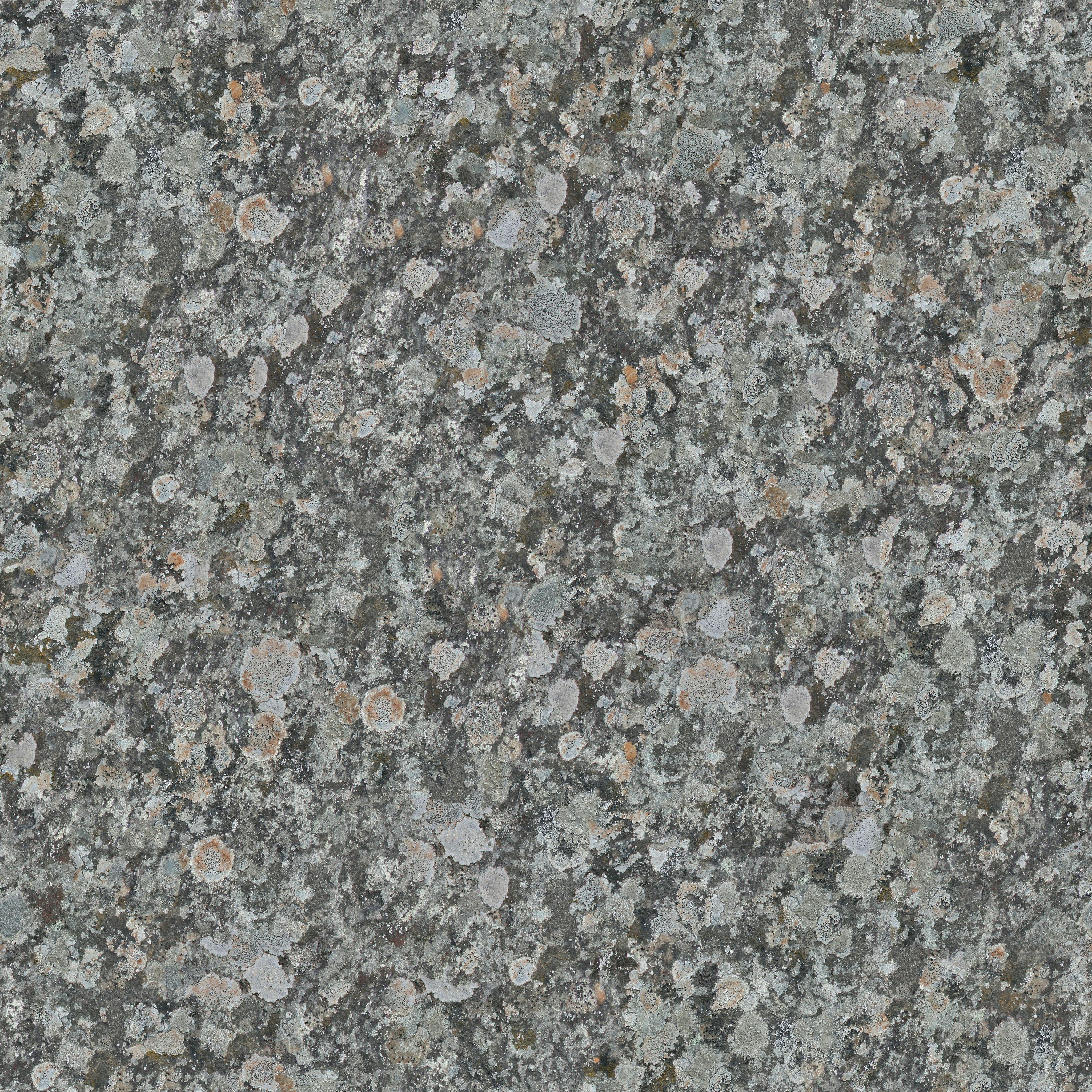Spots on a Gray Stone Surface · Free Stock Photo