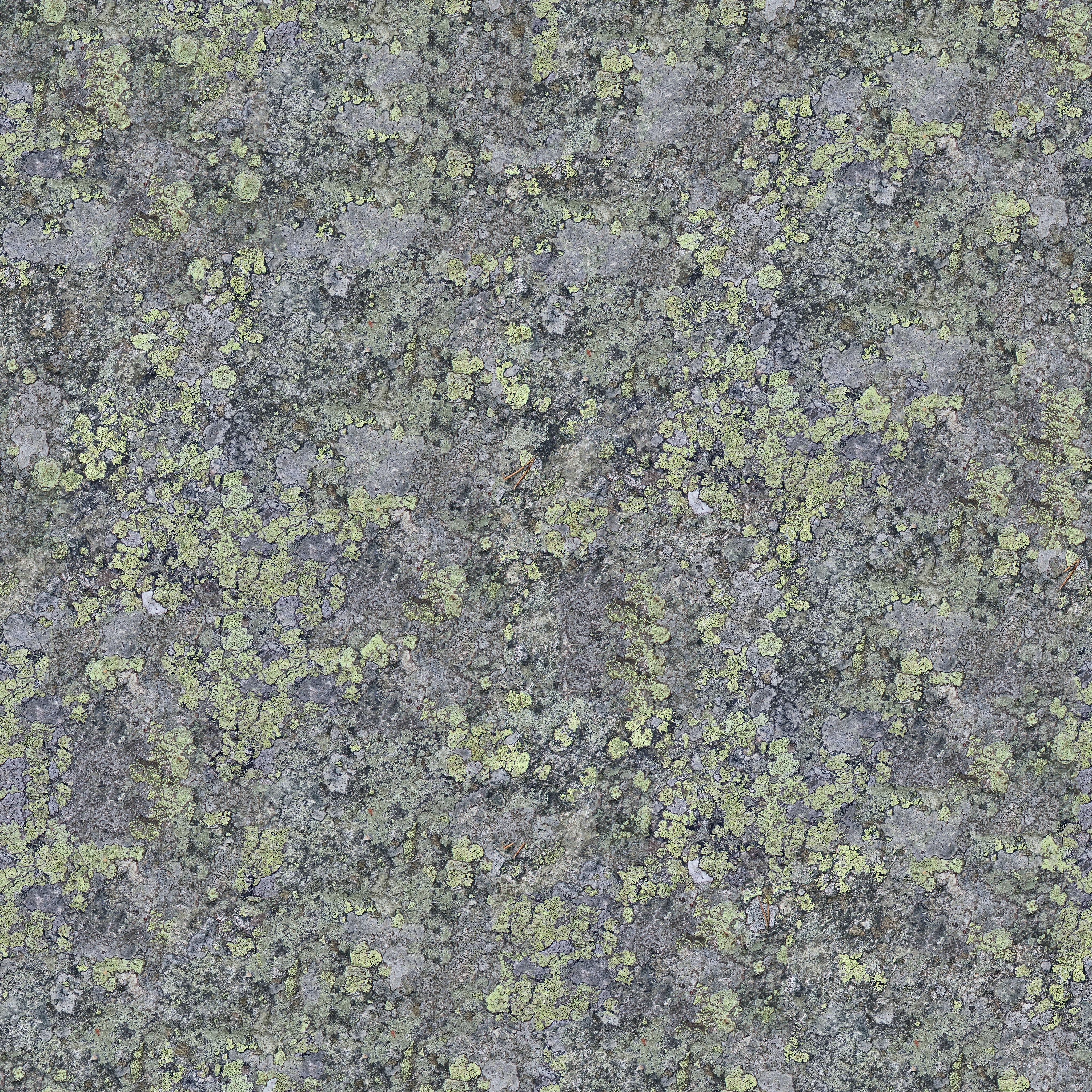 Grey Green Background Photos, Download The BEST Free Grey Green ...