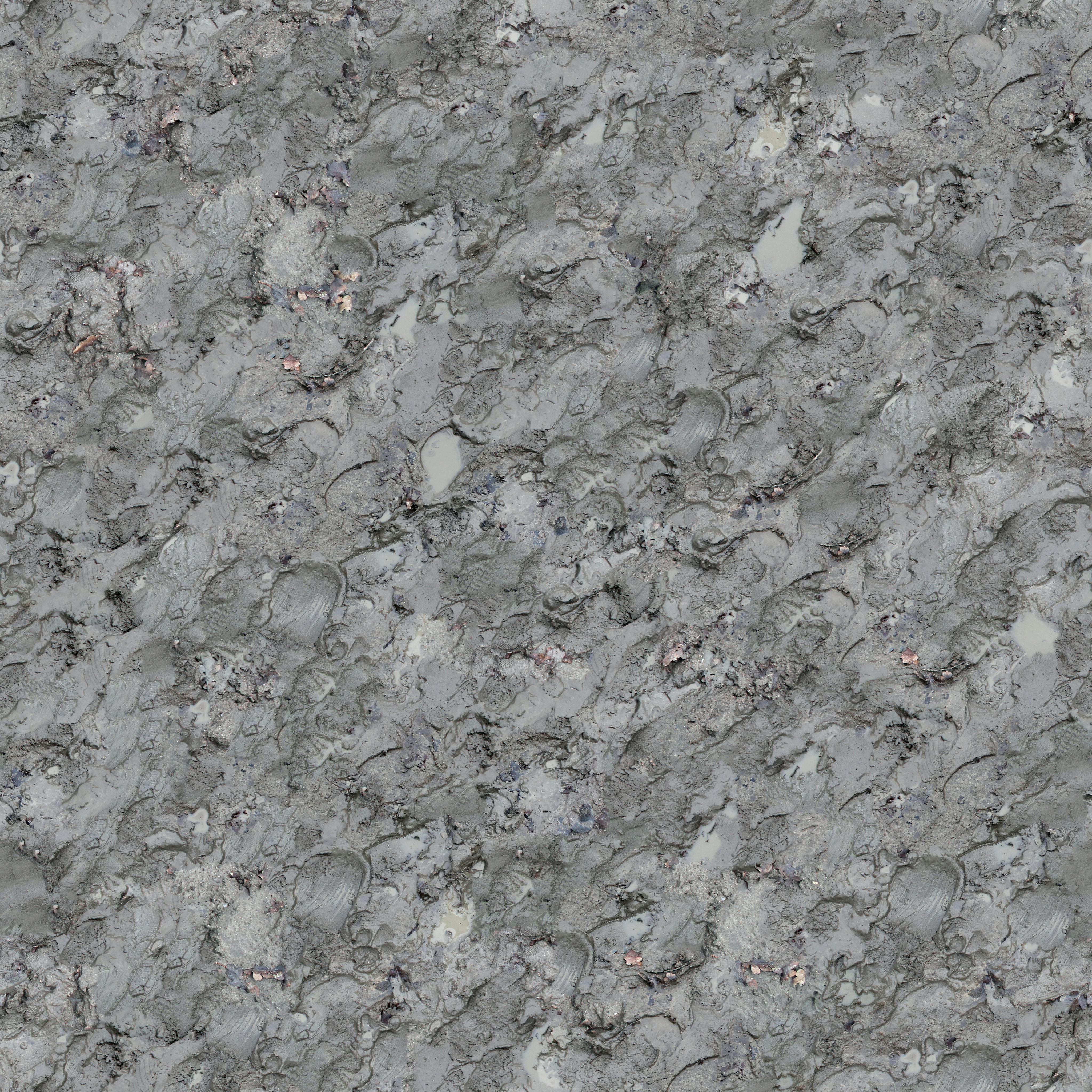 Muddy Ground · Free Stock Photo