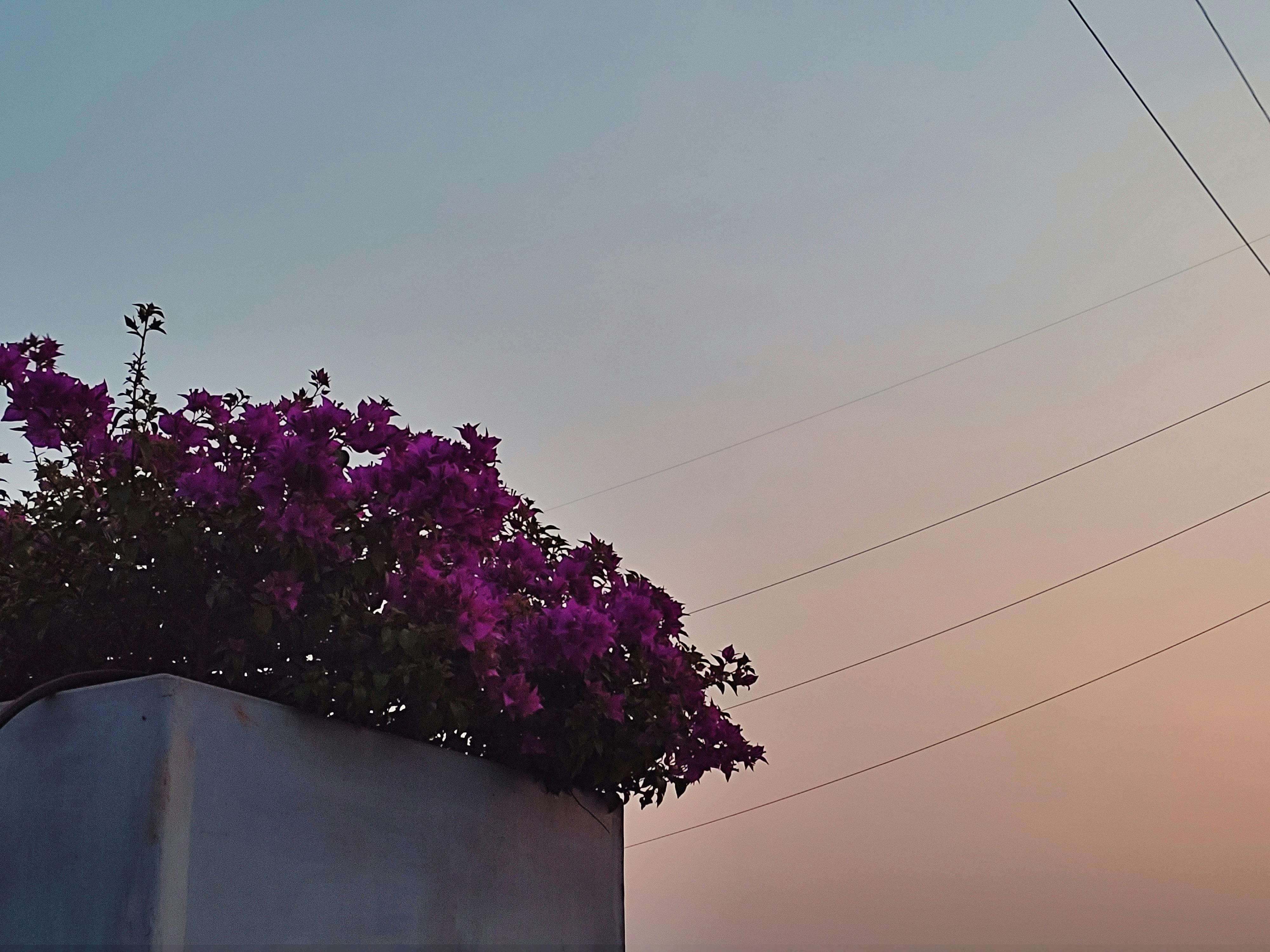 Shanu Singh - Photography