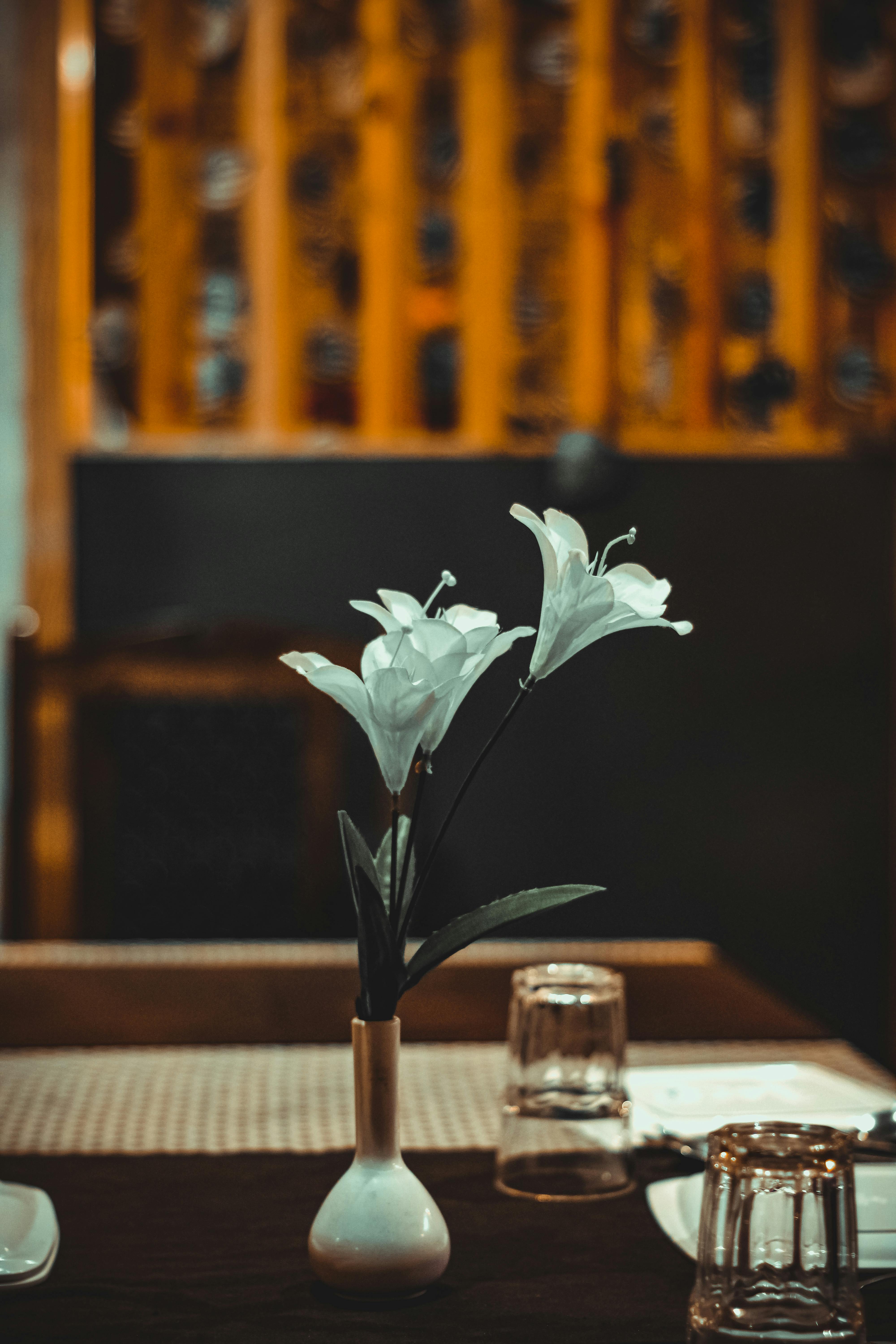 10+ Best Dinning Photos · 100% Free Download · Pexels Stock Photos