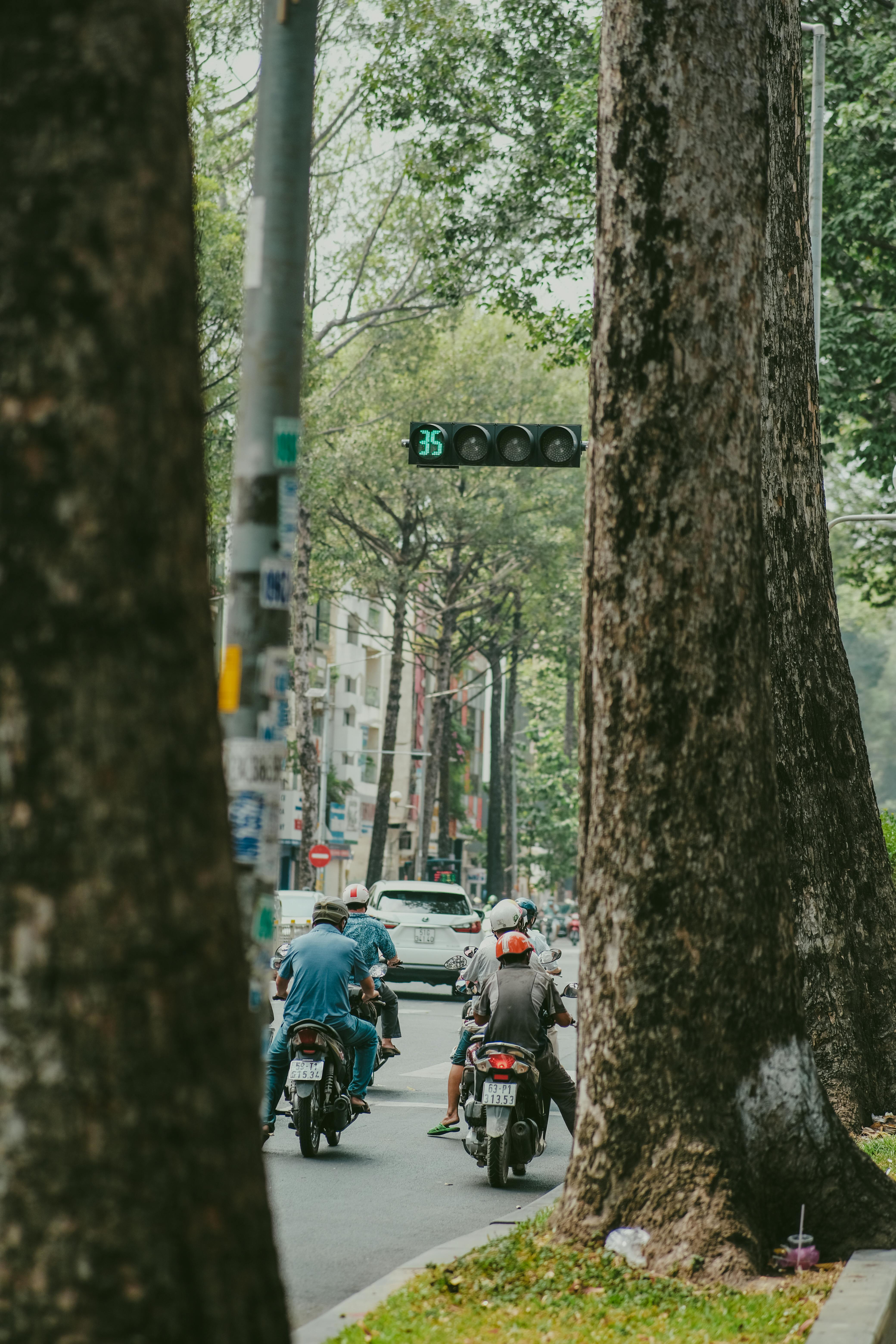 Photo of Men Riding Motorcycles Near a Tree · Free Stock Photo