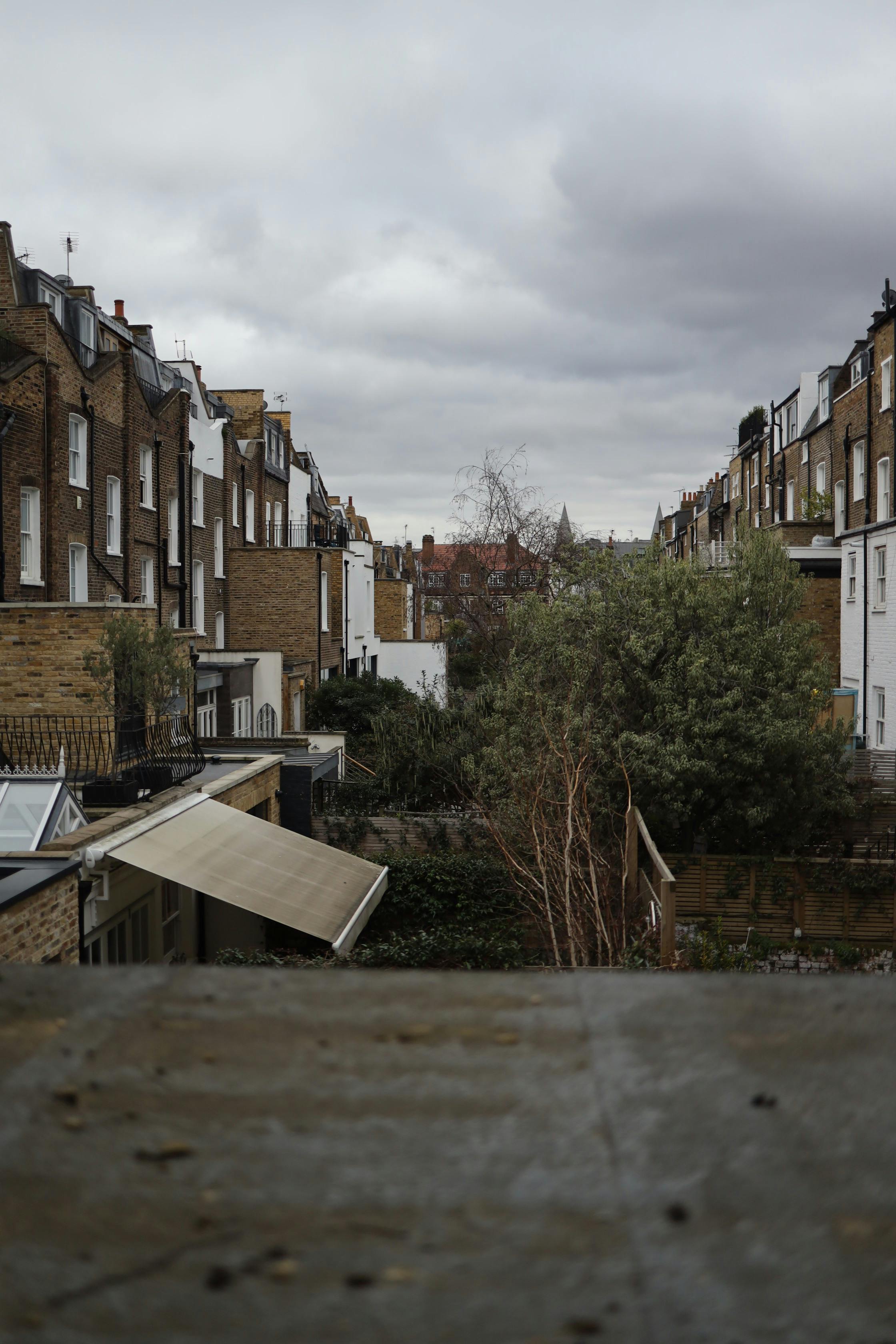 Photo of Trees Near Buildings · Free Stock Photo