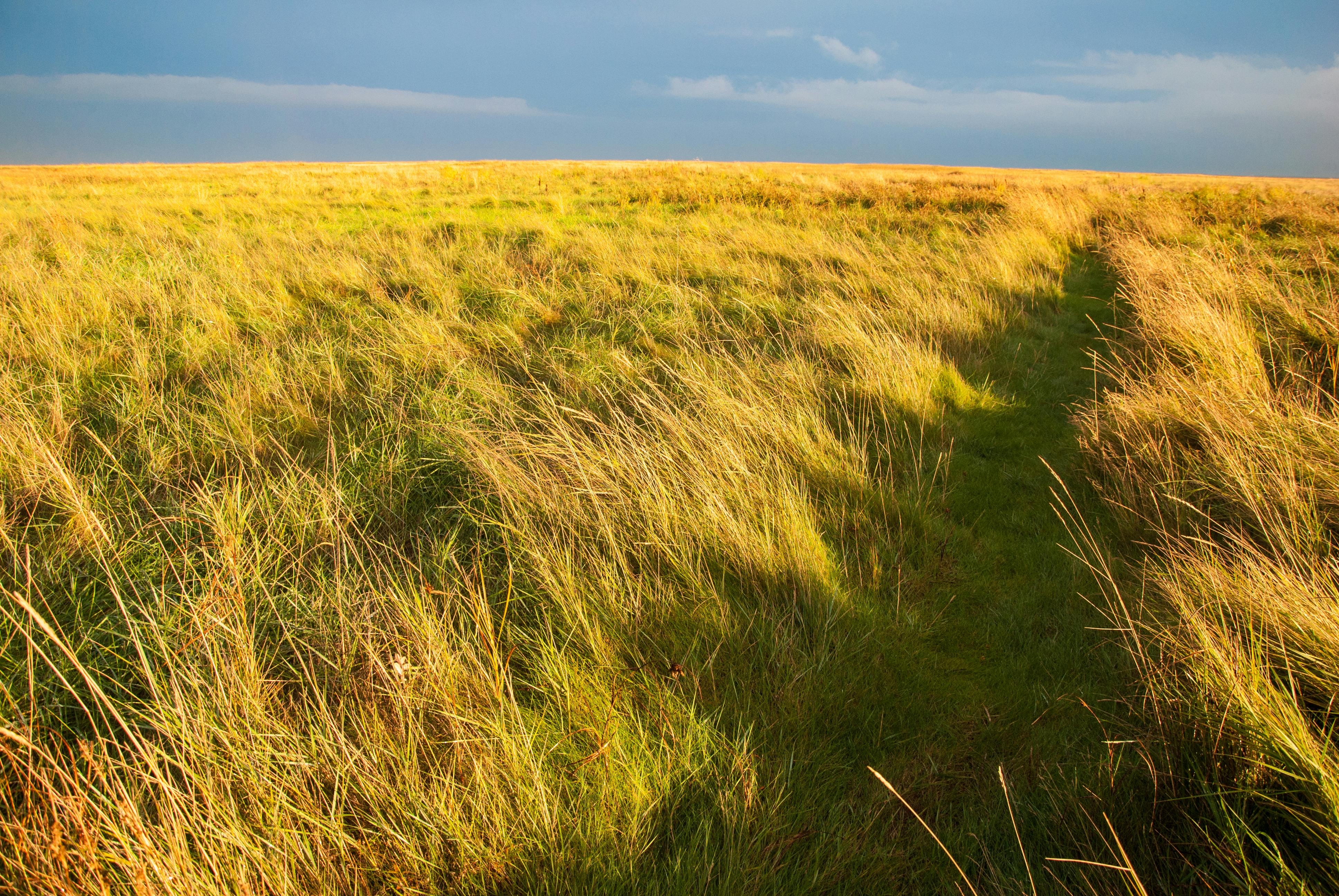 Simple Backgrounds Landscape Photos, Download The BEST Free Simple ...