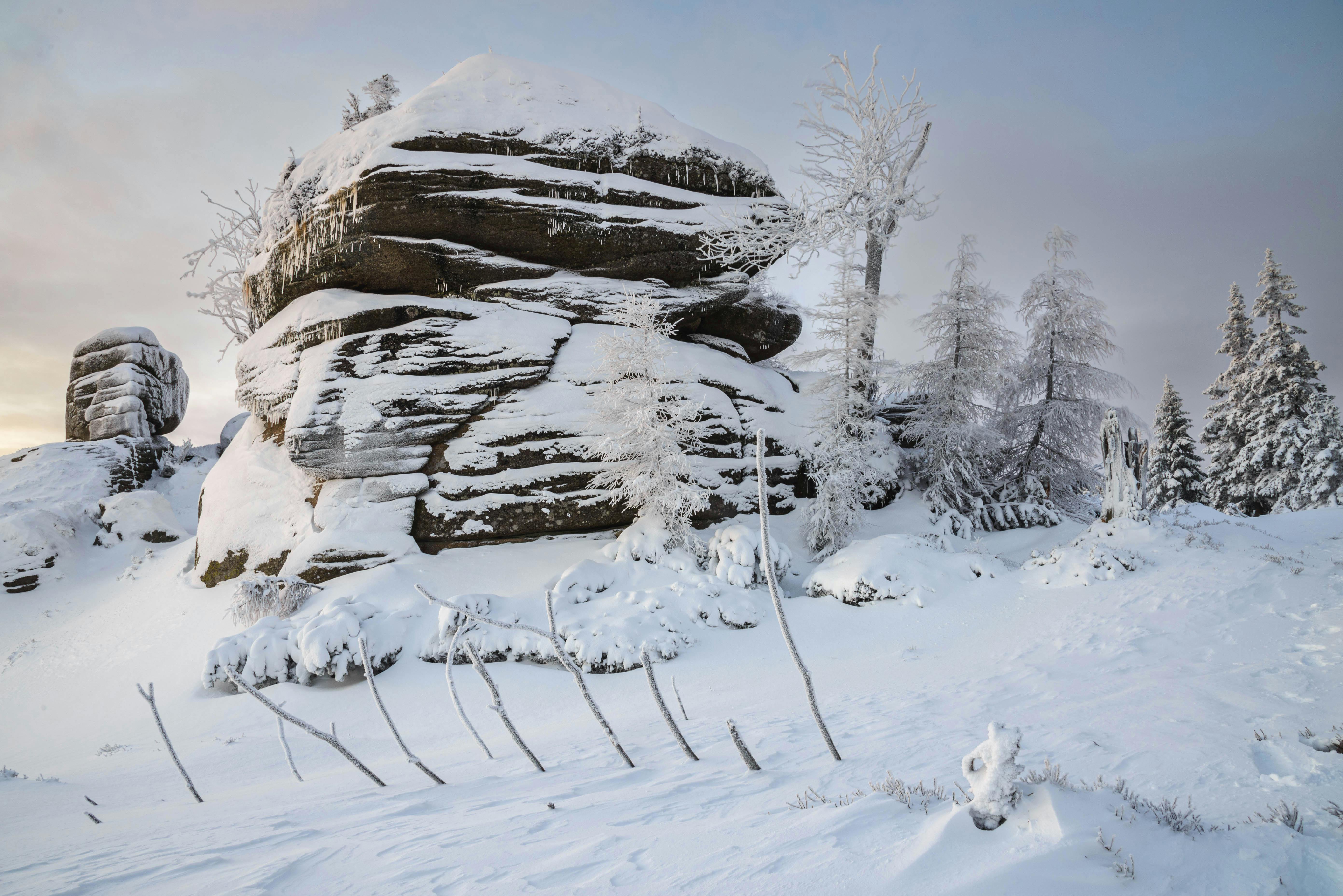 Photograph of Rocks and Trees with Snow · Free Stock Photo
