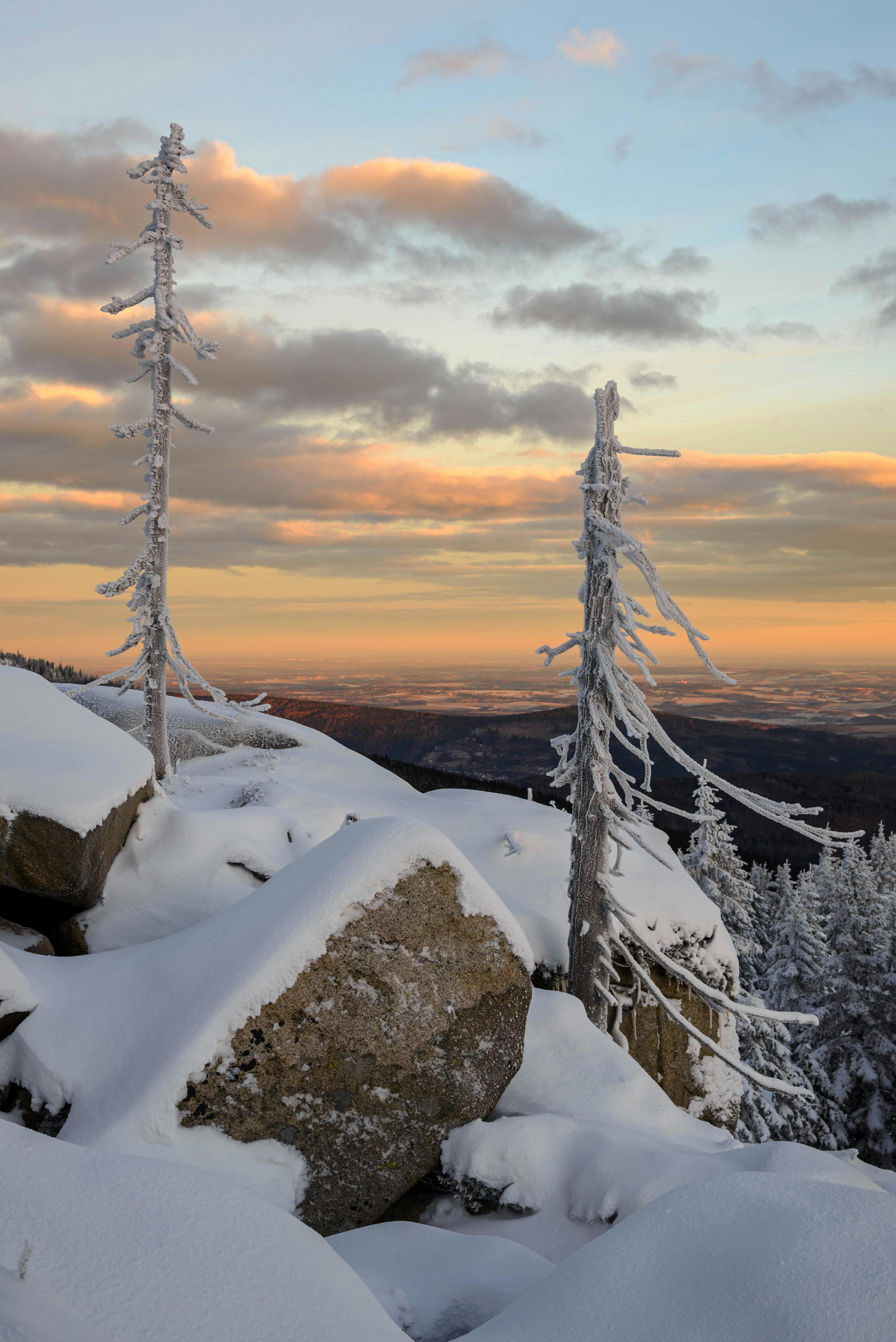 Photo of Rocks and Trees Covered in Snow · Free Stock Photo