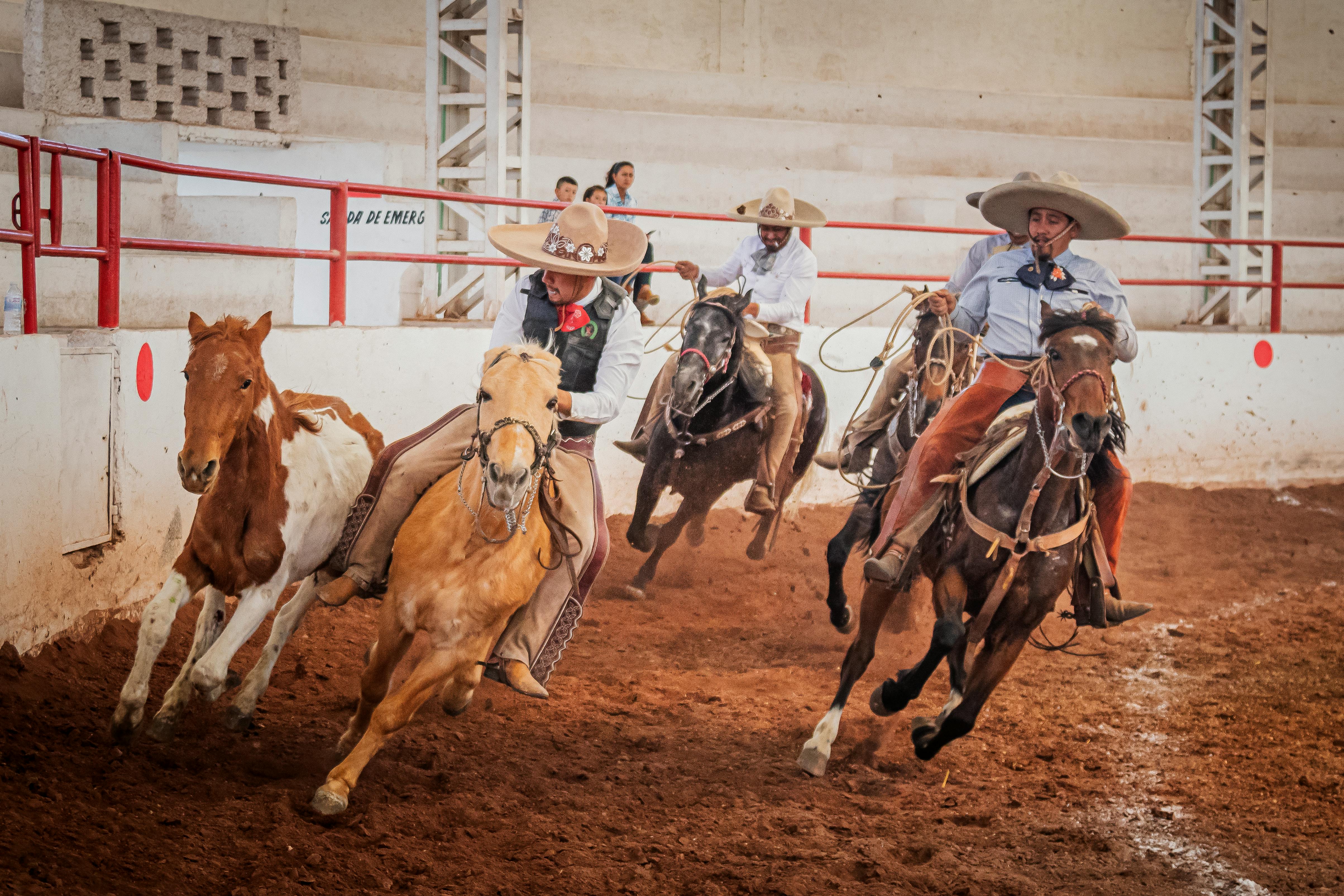 Campionatele Rodeo Photos, Download The BEST Free Campionatele Rodeo ...
