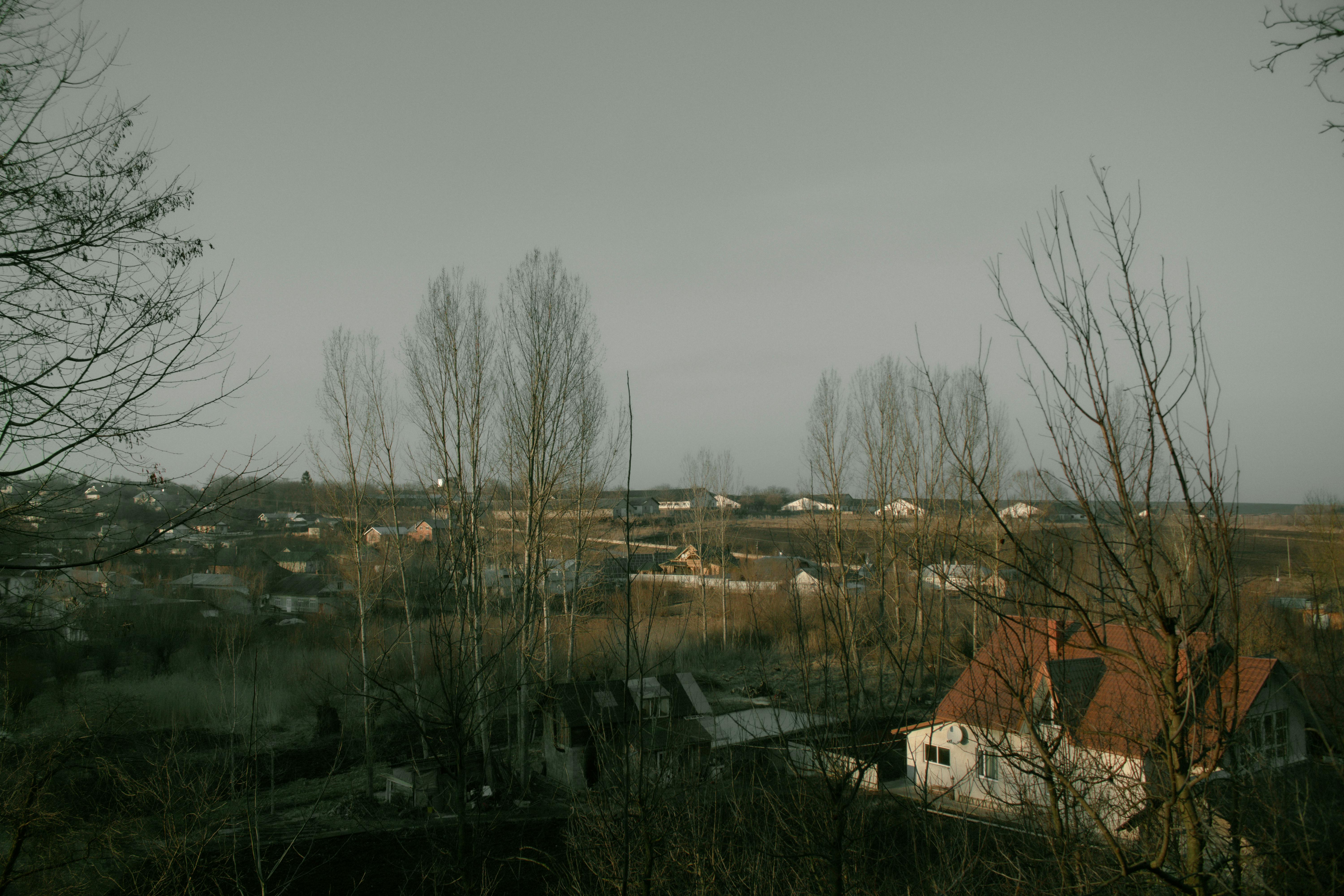 Gray Concrete Road Between Houses · Free Stock Photo