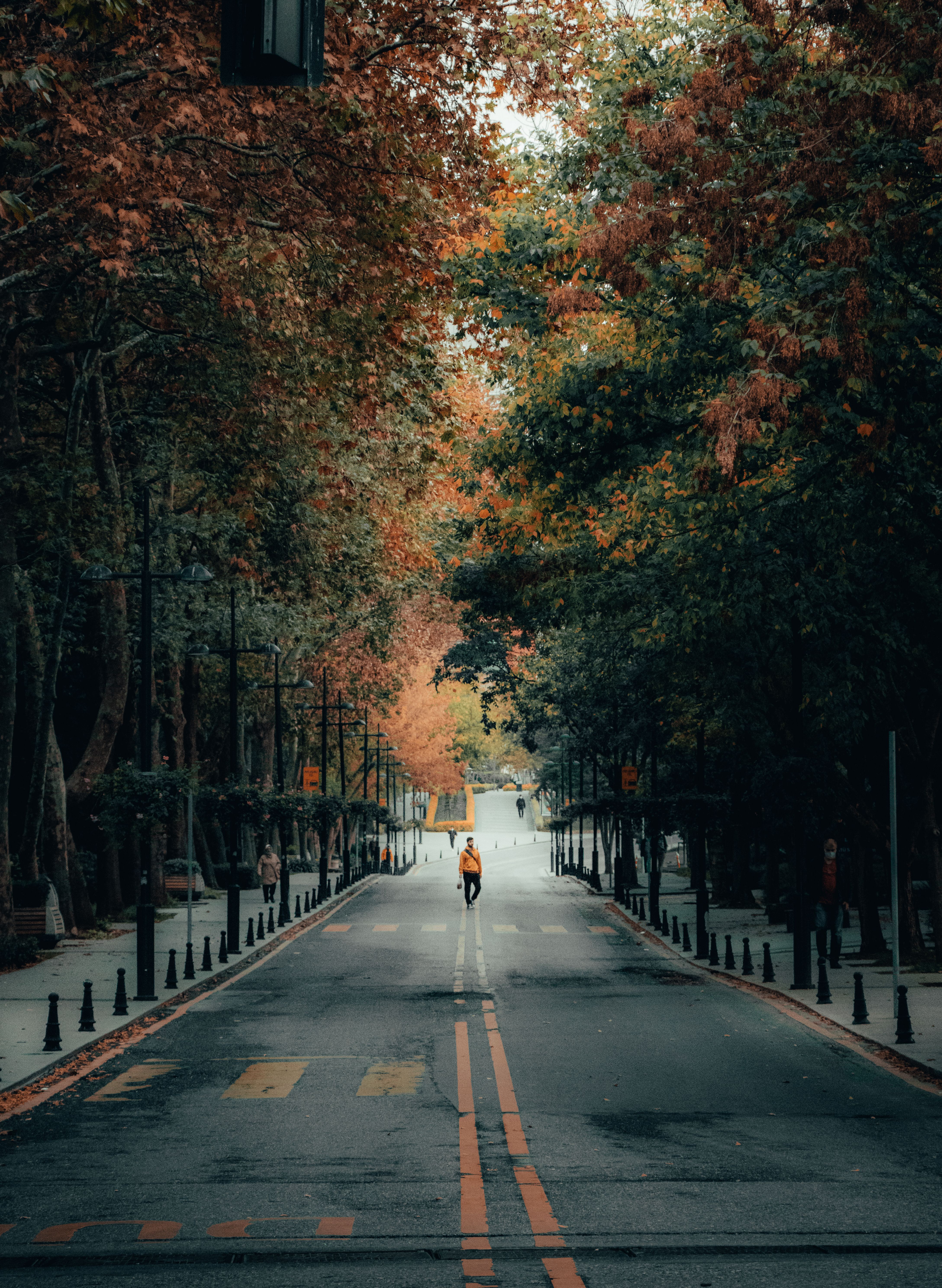 Person in Middle of Street · Free Stock Photo