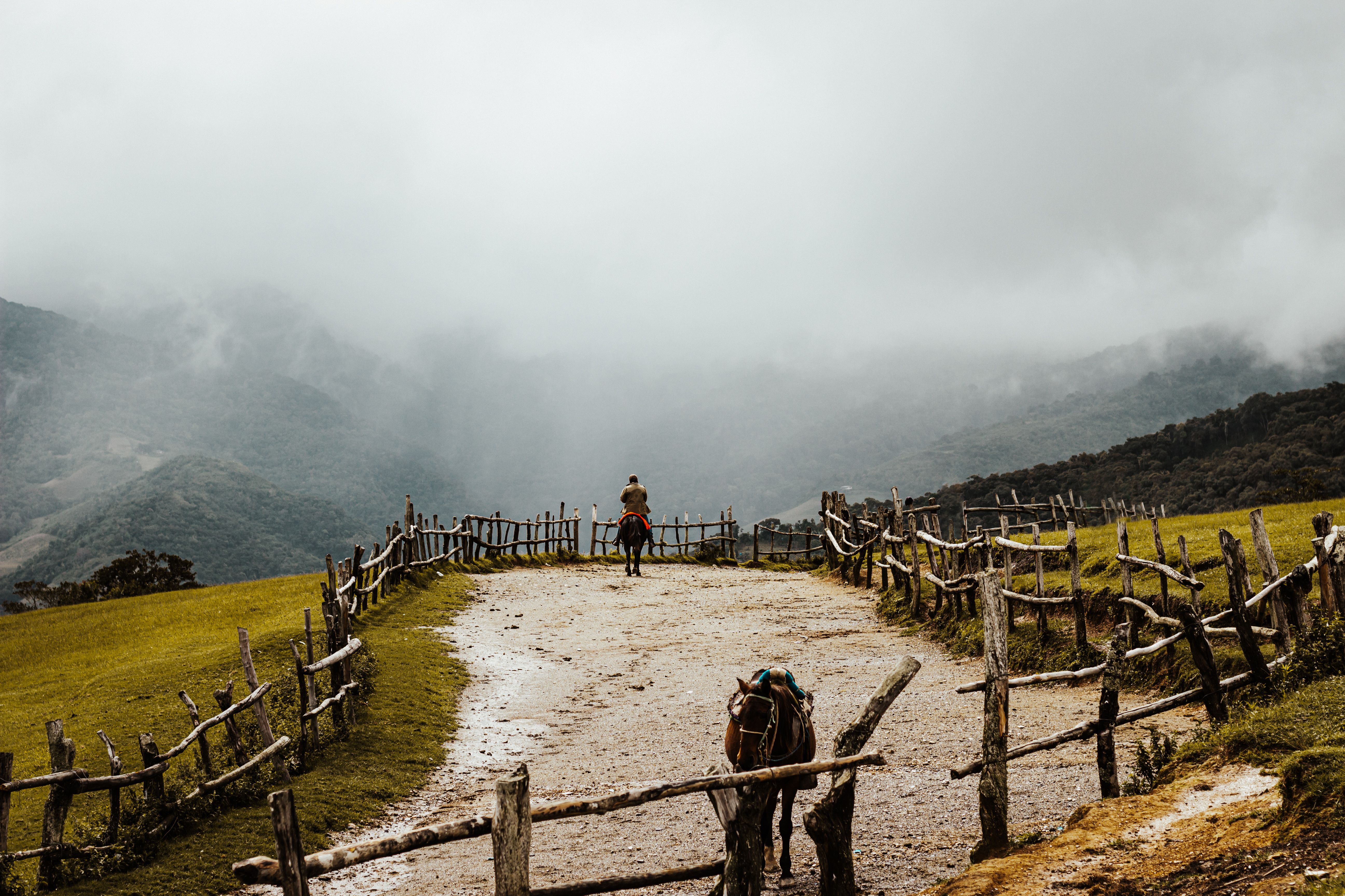 Women Riding Horses · Free Stock Photo