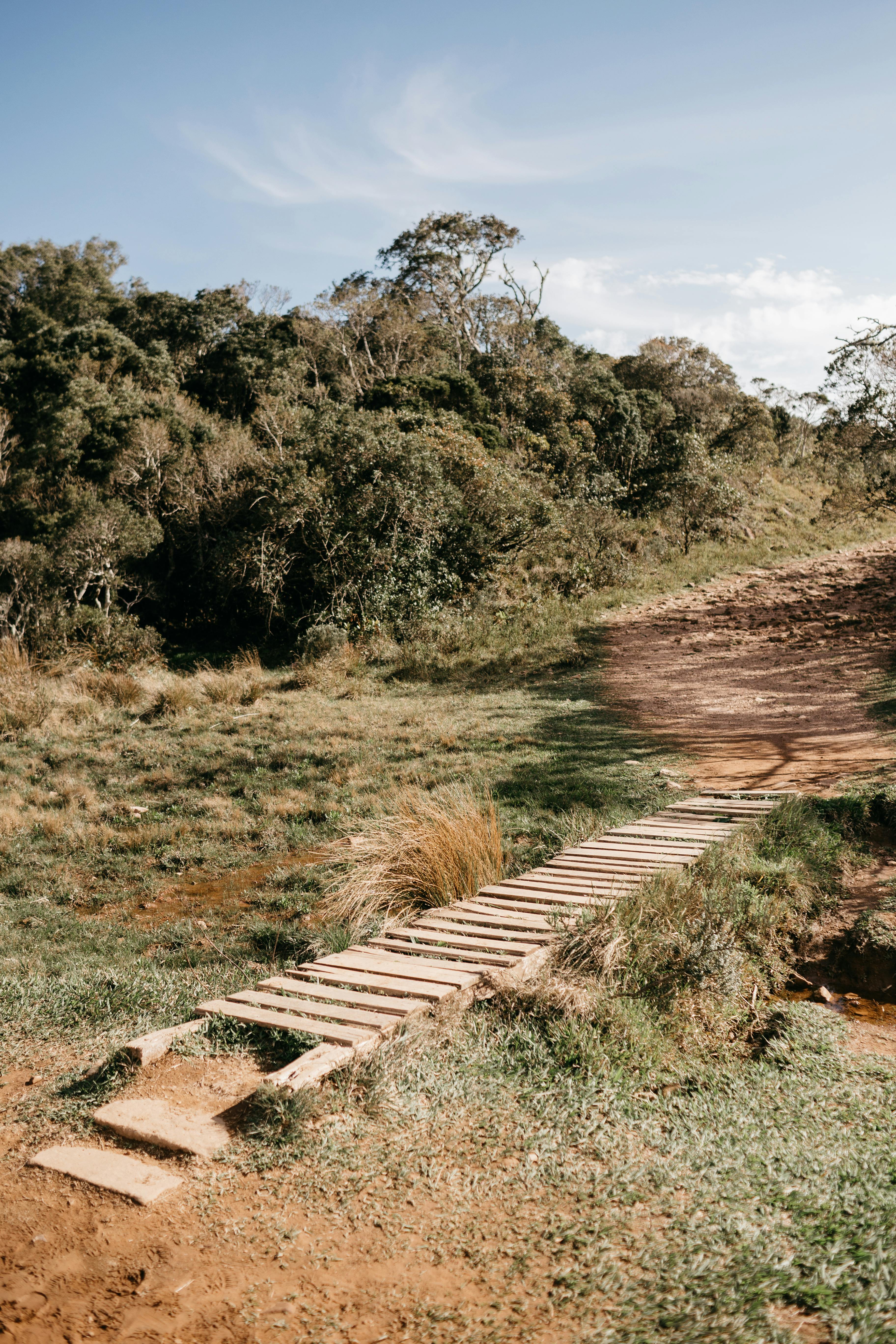 Footbridge Over a Stream · Free Stock Photo