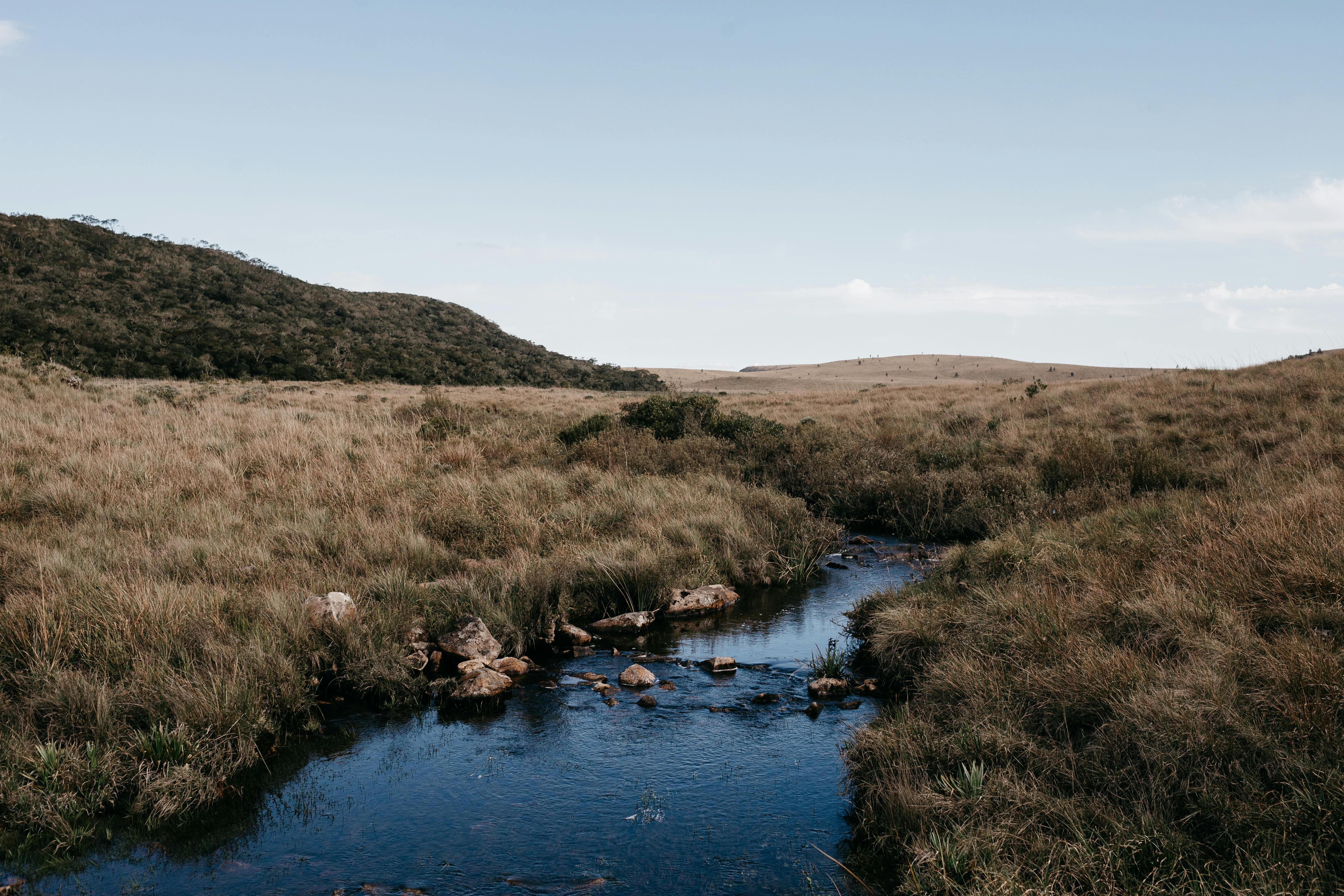 Stream in Field in Countryside · Free Stock Photo