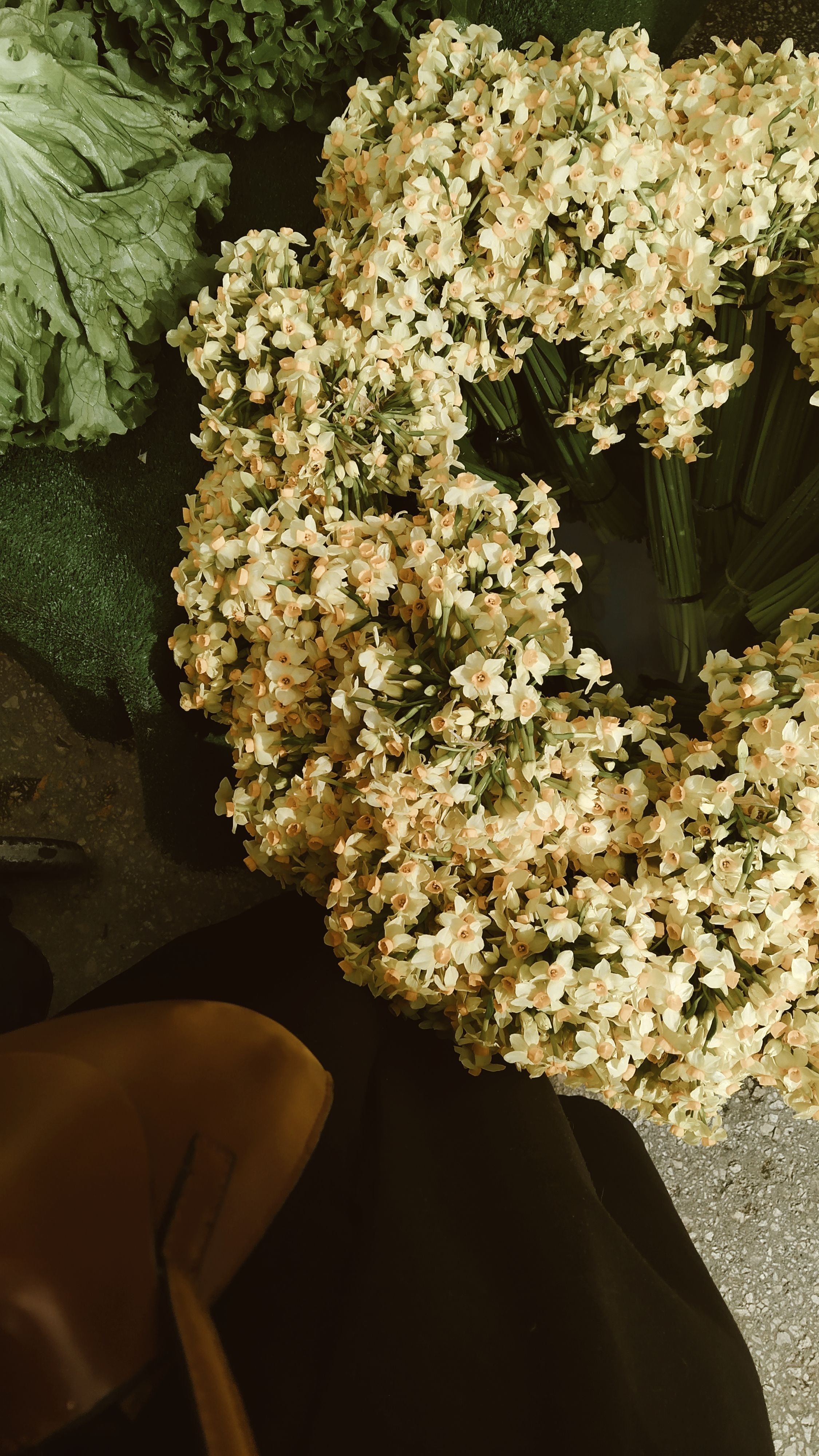 Red Berries Among Flowers · Free Stock Photo