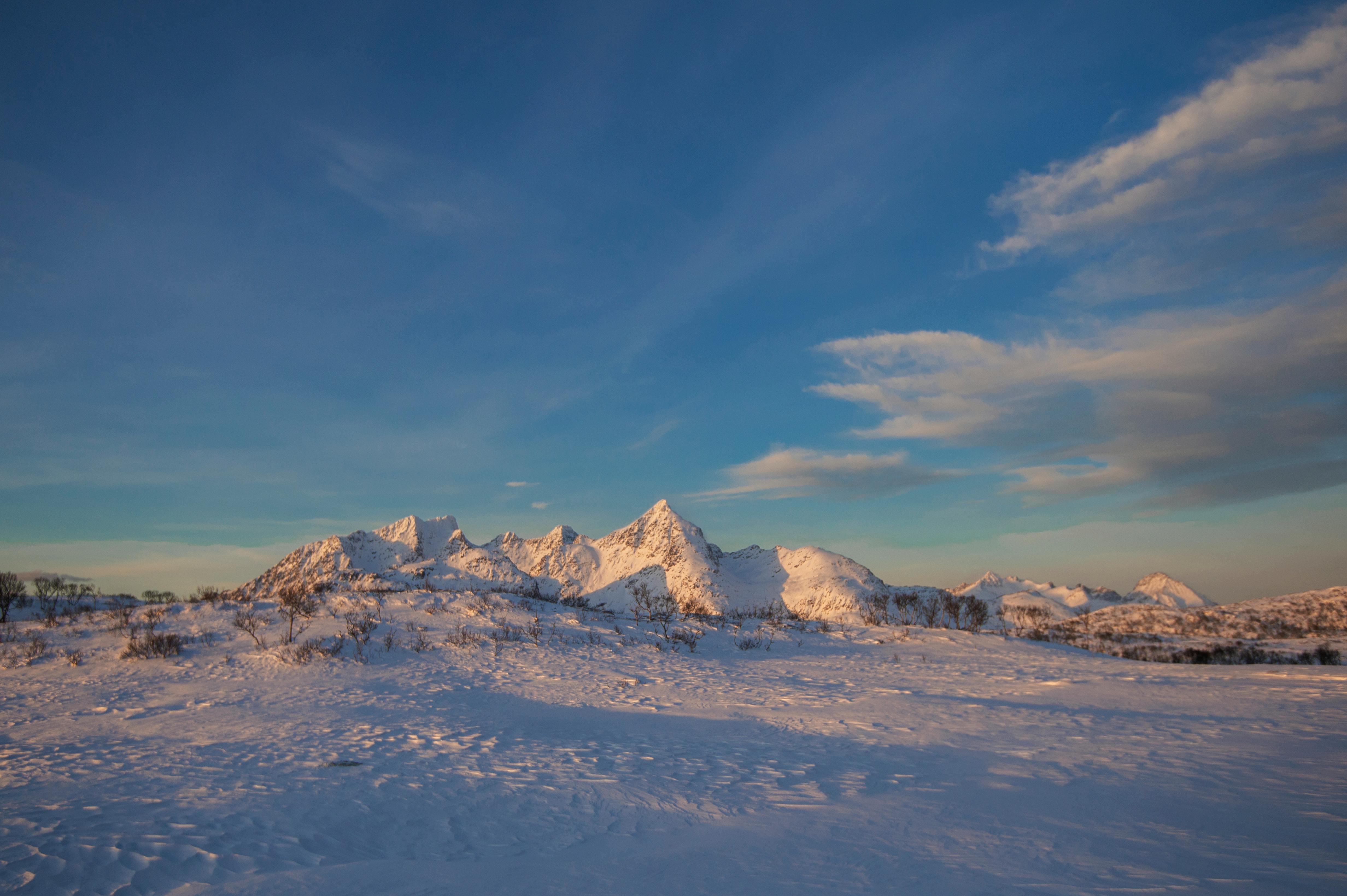 White Platforms on a Snow Covered Ground · Free Stock Photo