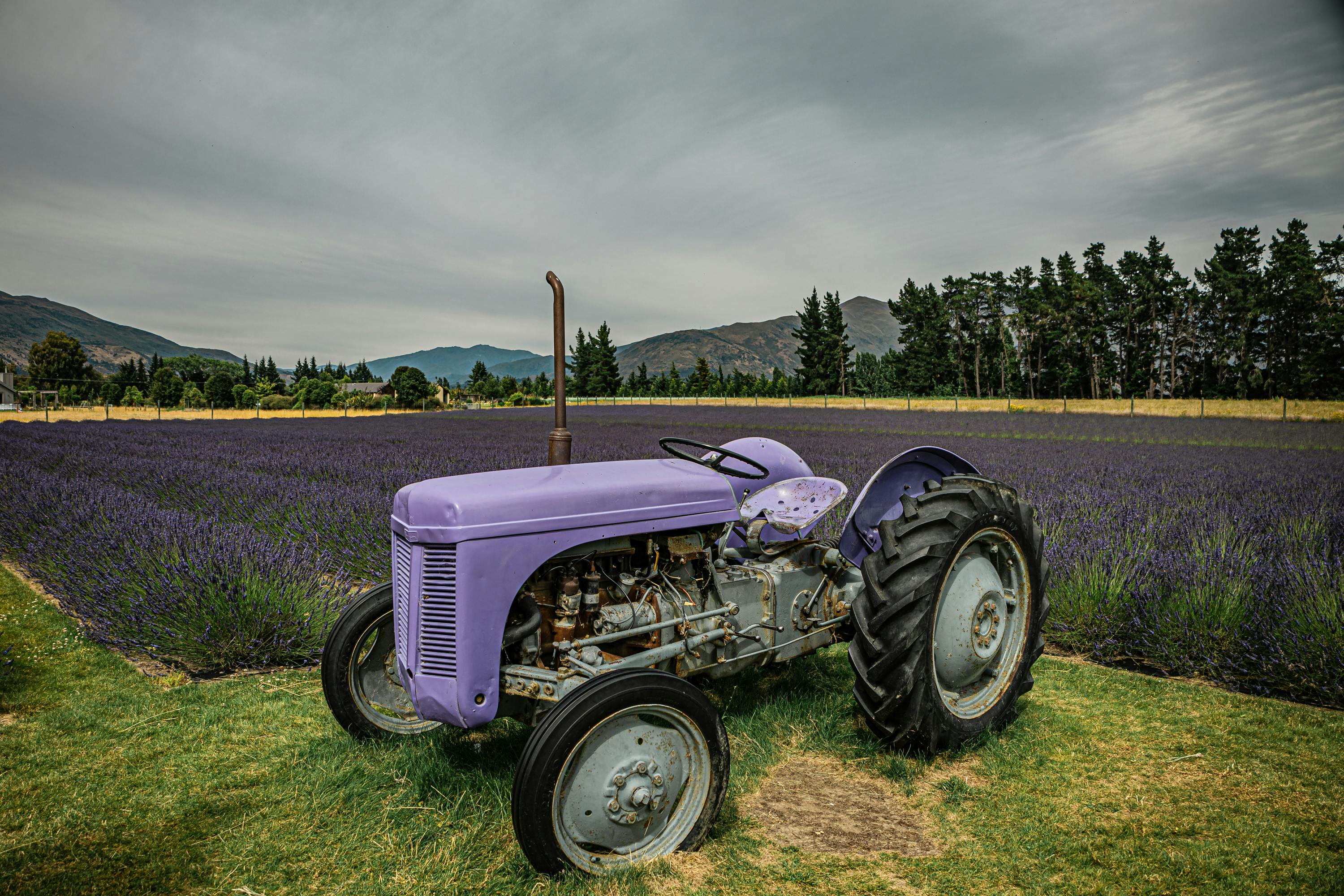 Purple Tractor Photos, Download The BEST Free Purple Tractor Stock ...