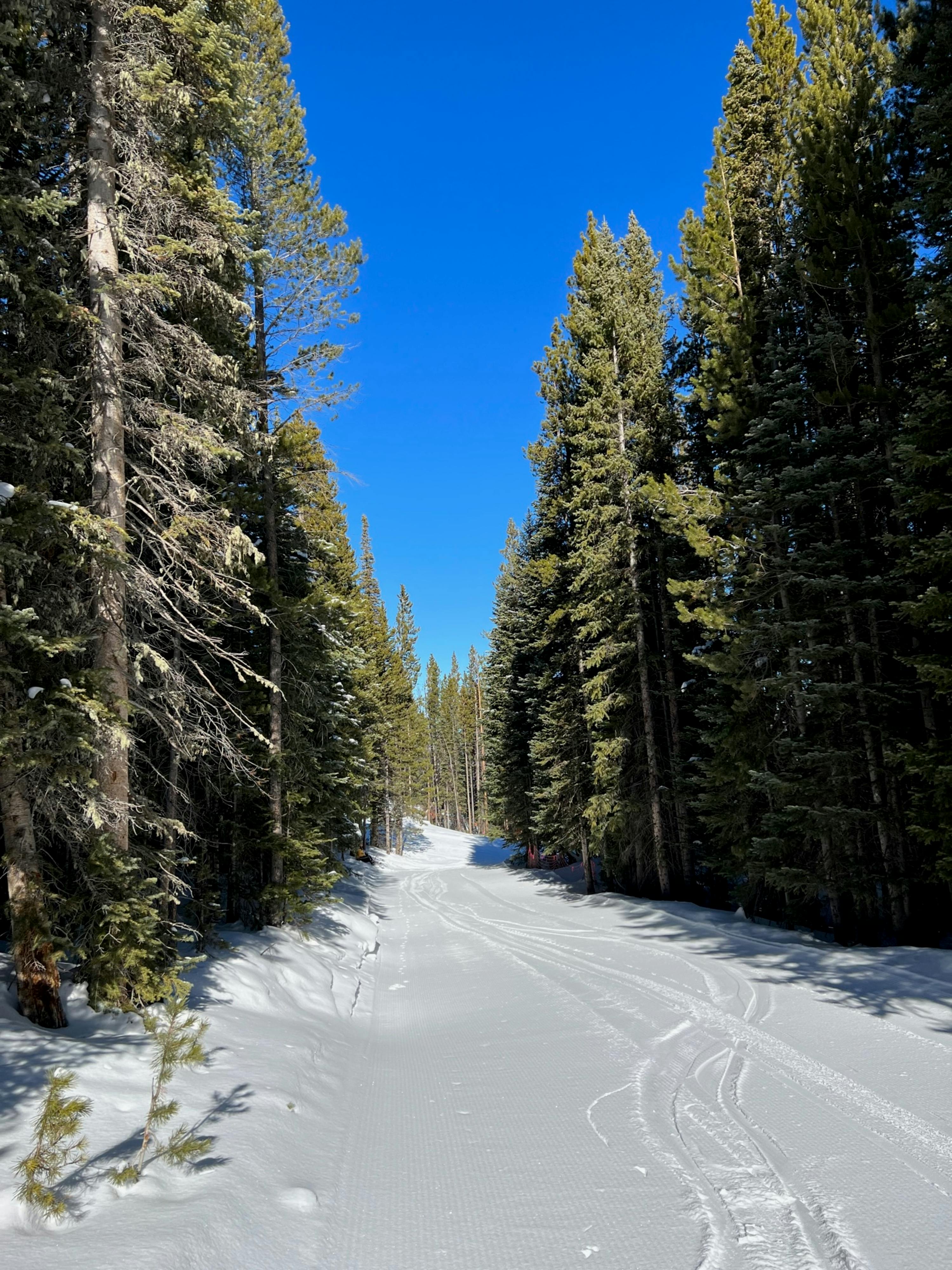 Snowy Trail Photos, Download The BEST Free Snowy Trail Stock Photos ...