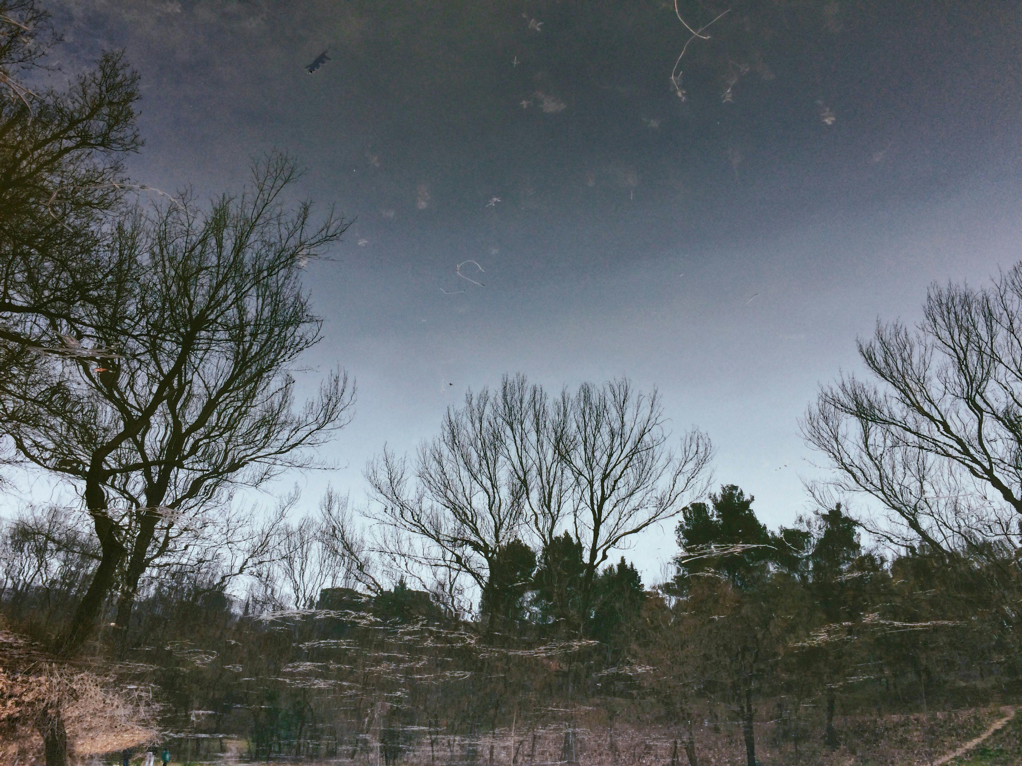 Medina Rrokja - 사진