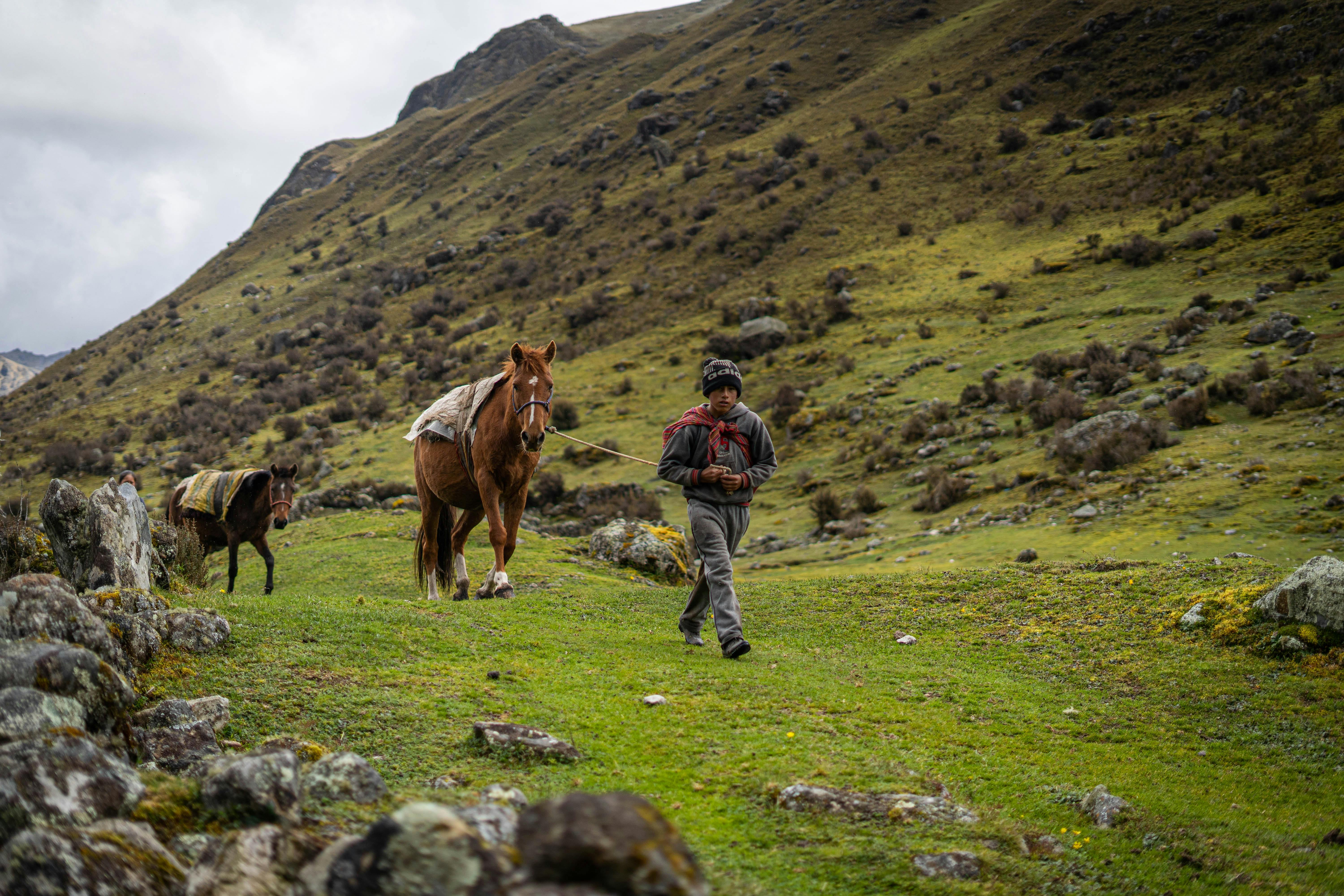 Peru Et Mare Photos, Download The BEST Free Peru Et Mare Stock Photos ...