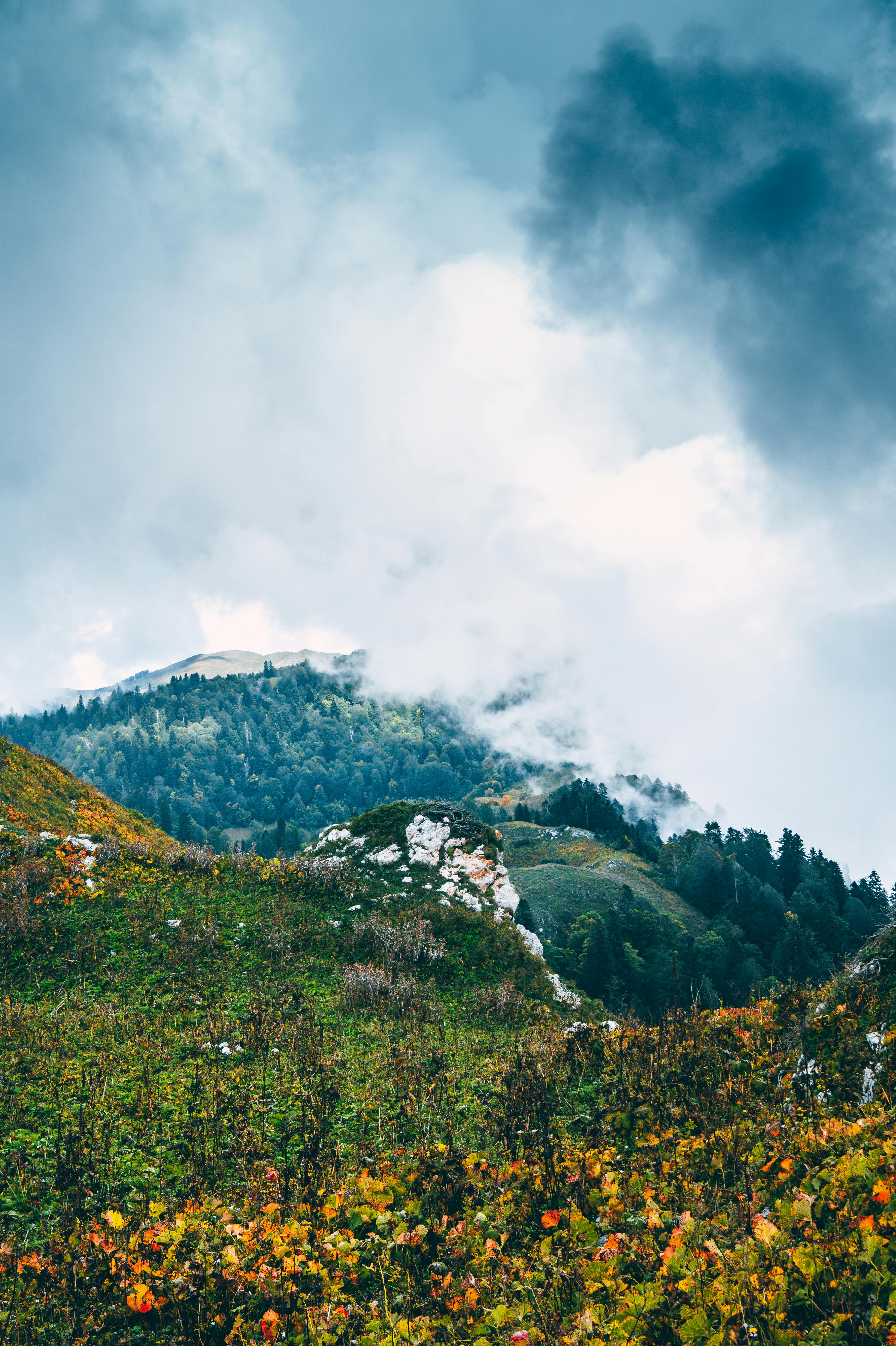 Scenic View from a Mountain Top · Free Stock Photo