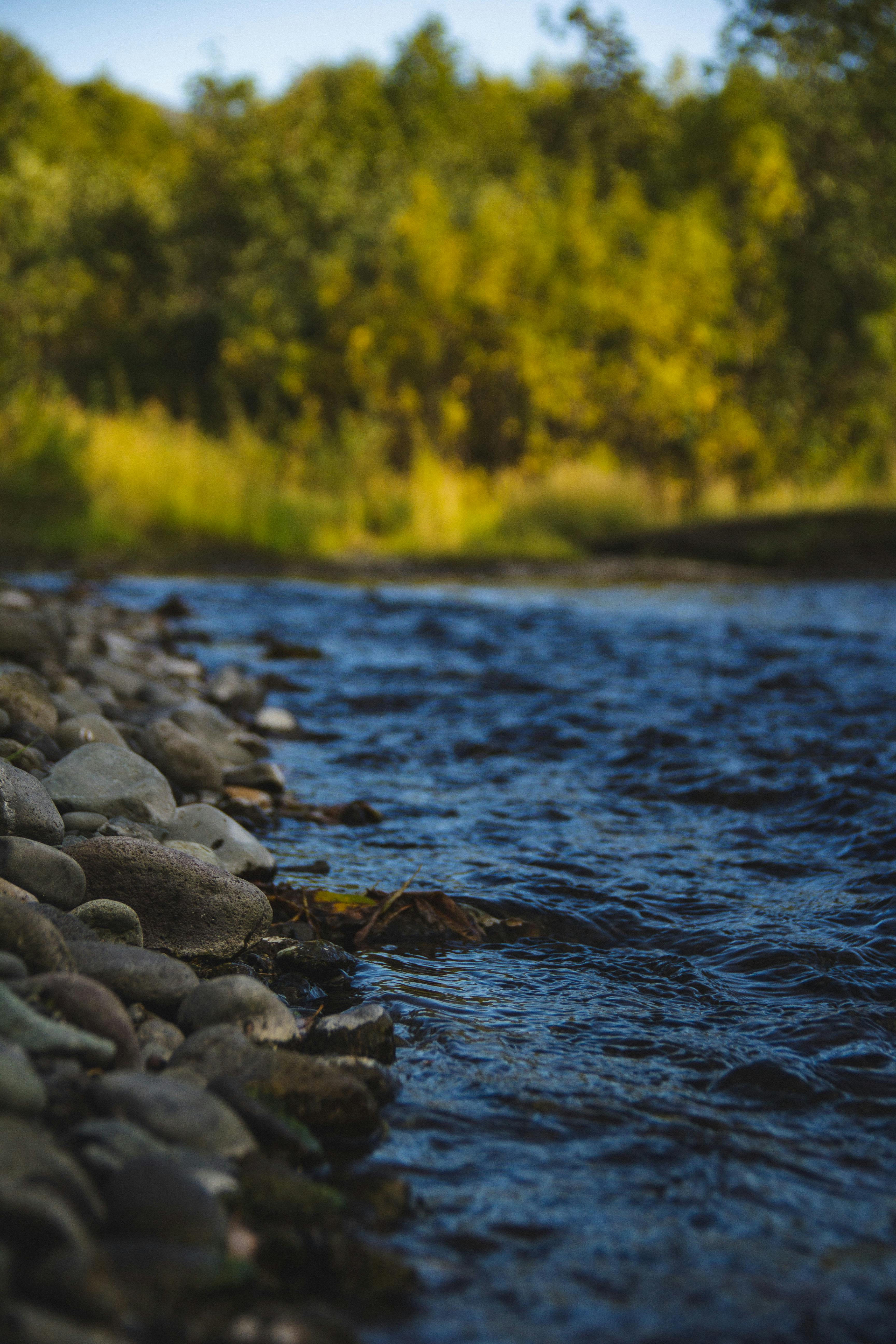 Photo of a River · Free Stock Photo