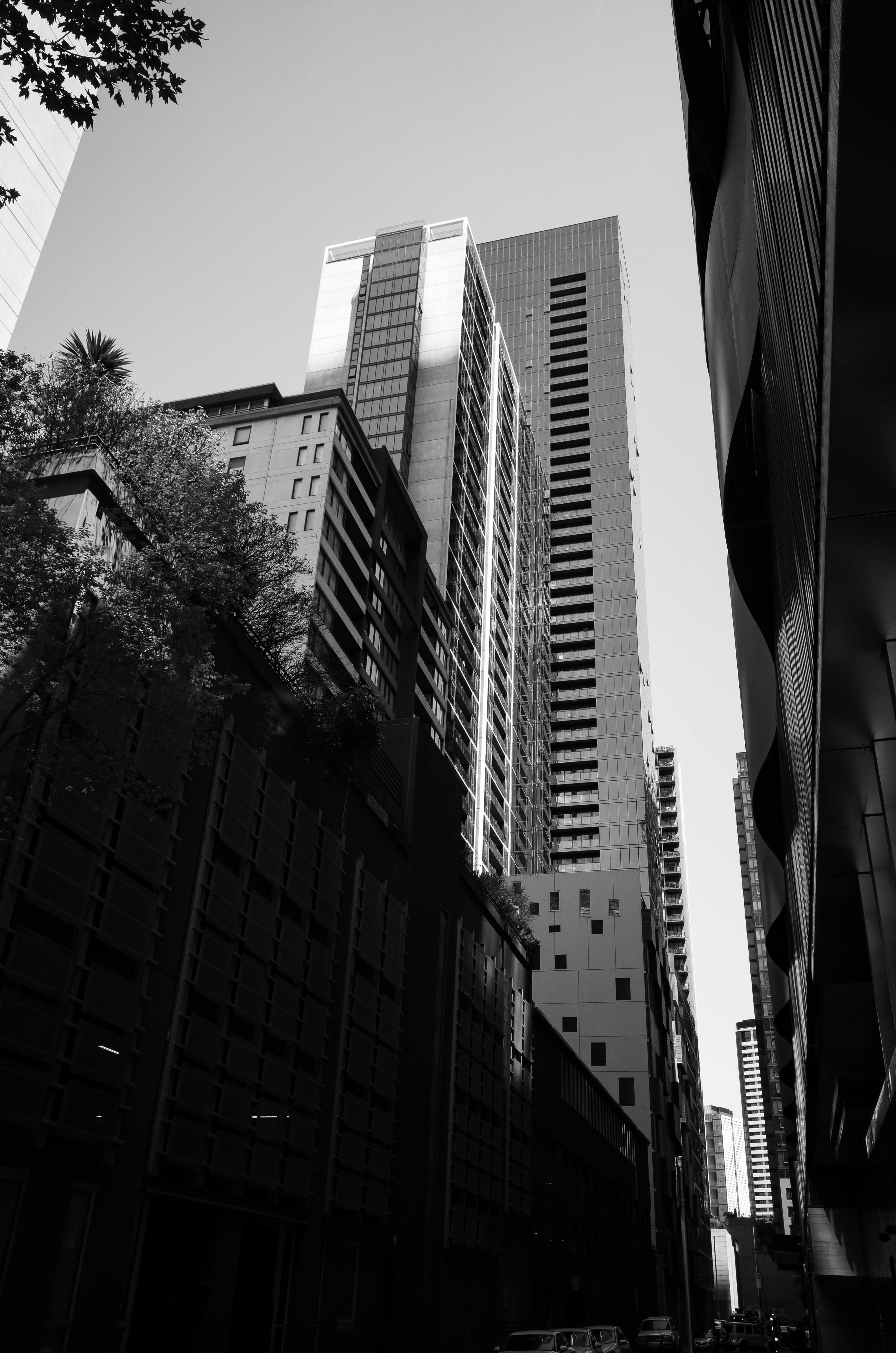 Black and White Photo of Buildings · Free Stock Photo