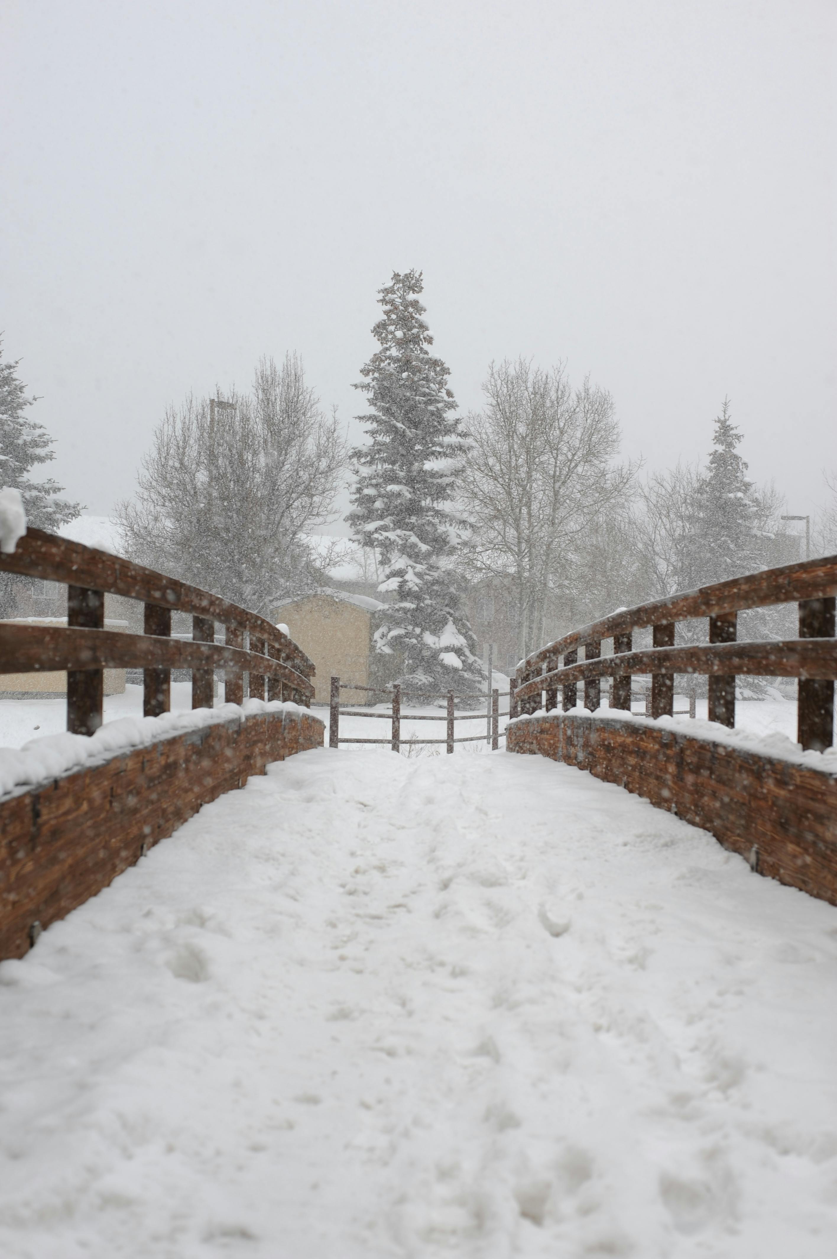 Photo of a Bridge in Winter · Free Stock Photo