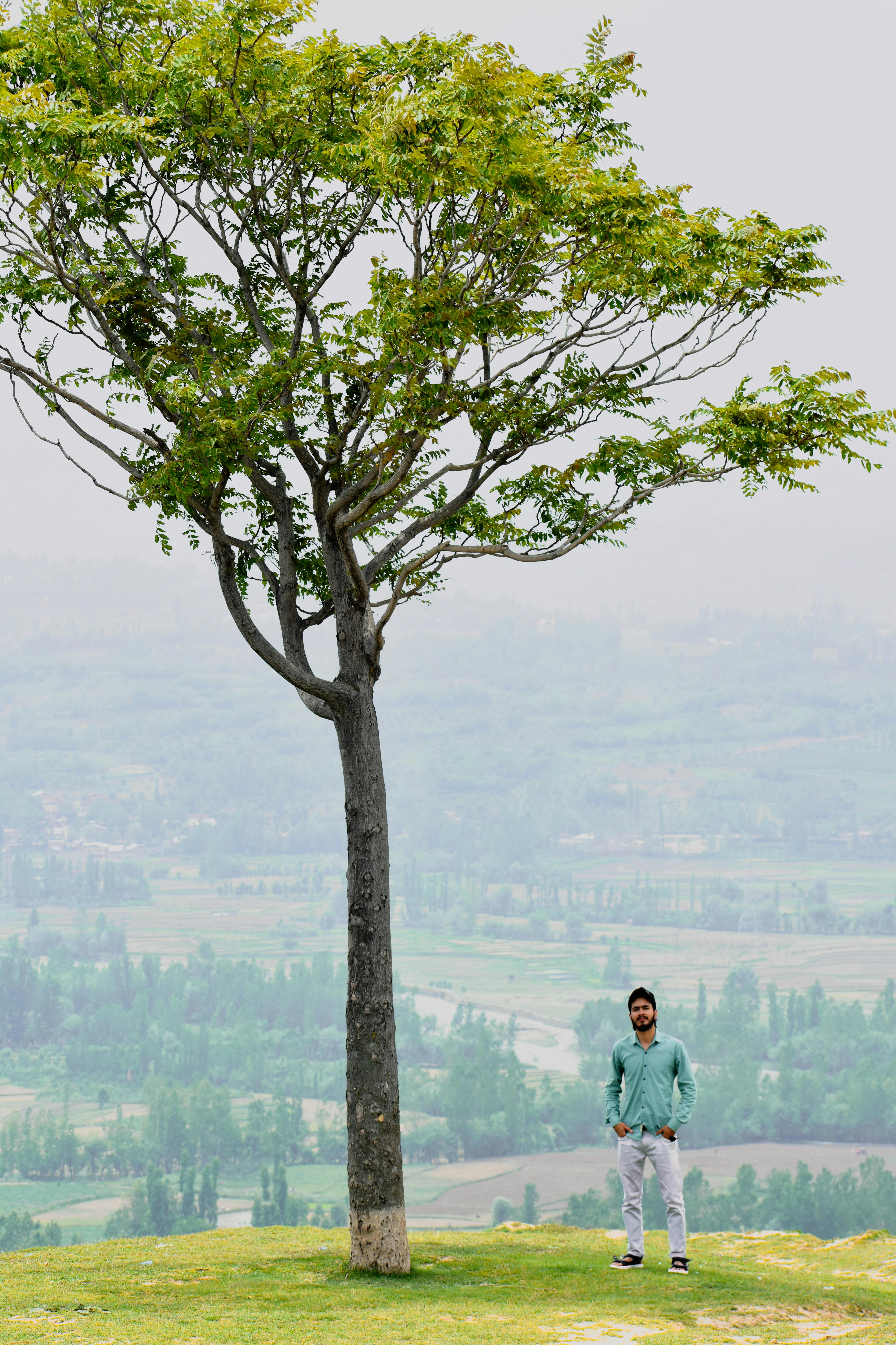 A Man Standing Beside a Banyan Tree · Free Stock Photo