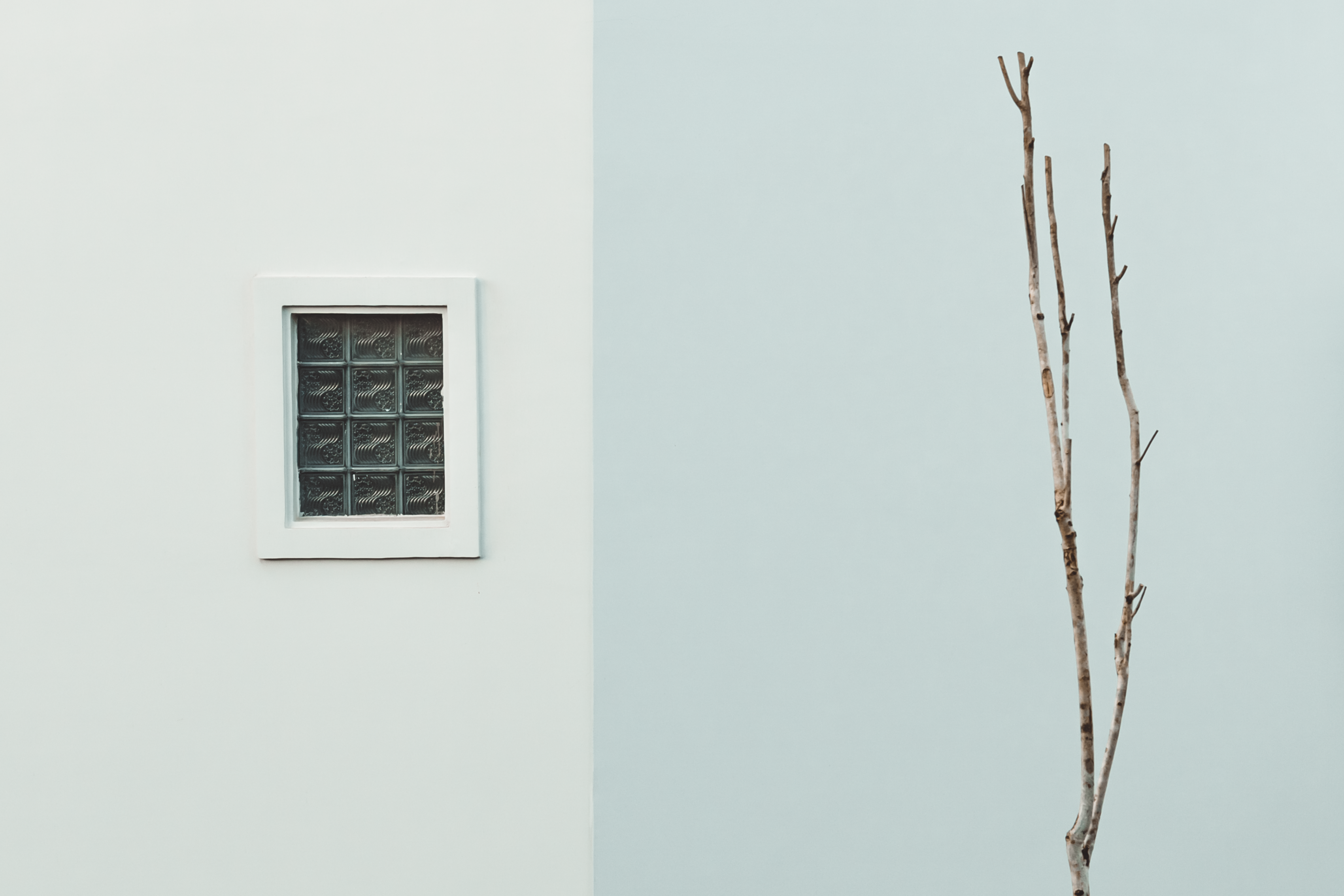 Aesthetic Plain Ba Photos, Download The BEST Free Aesthetic Plain Ba ...