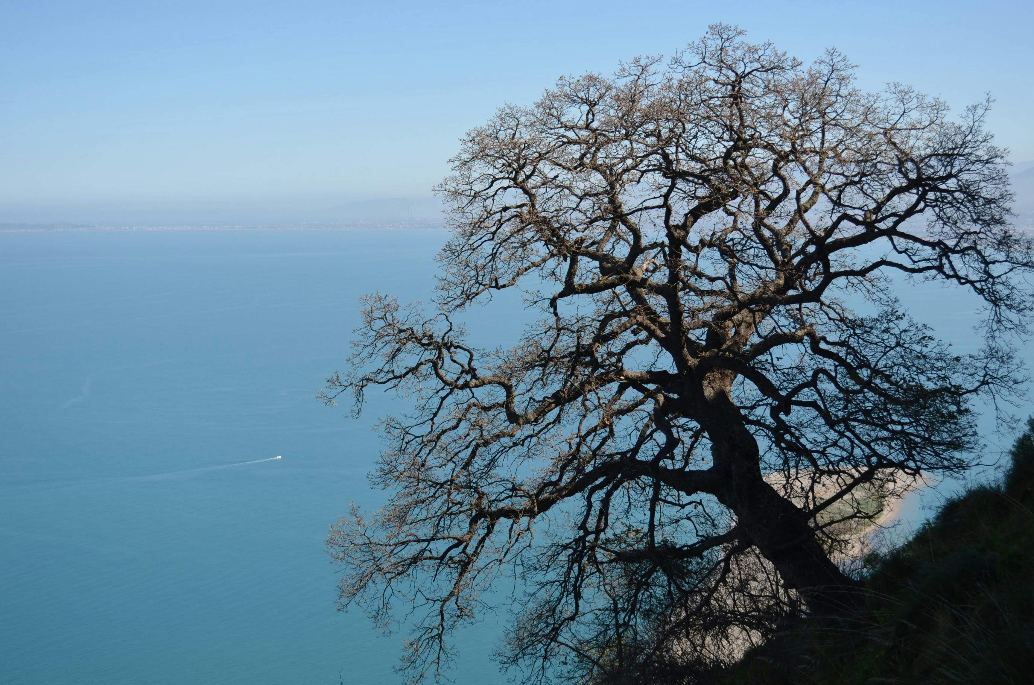 Laura Manea - Photography