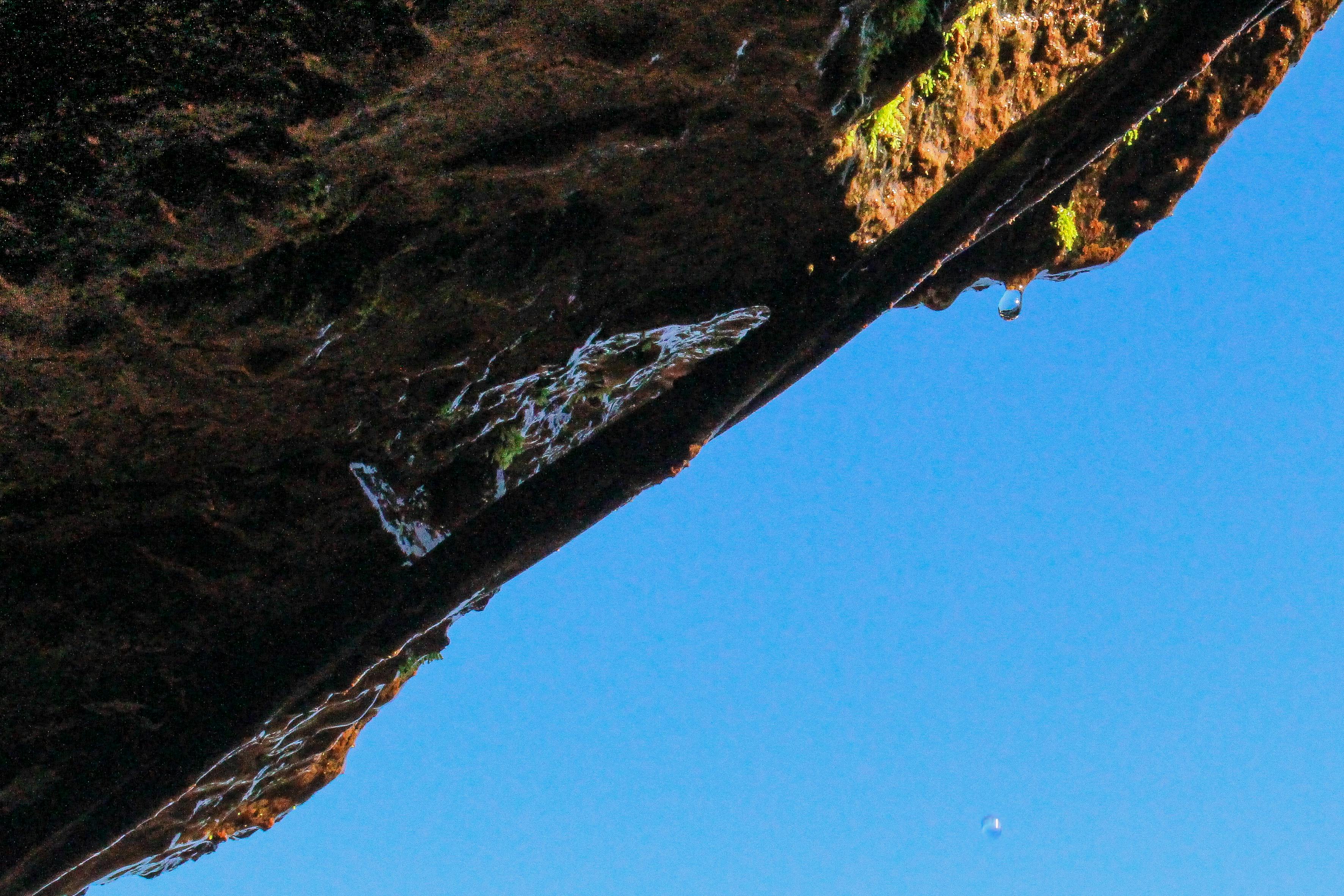 Free stock photo of clear water, drop, dust