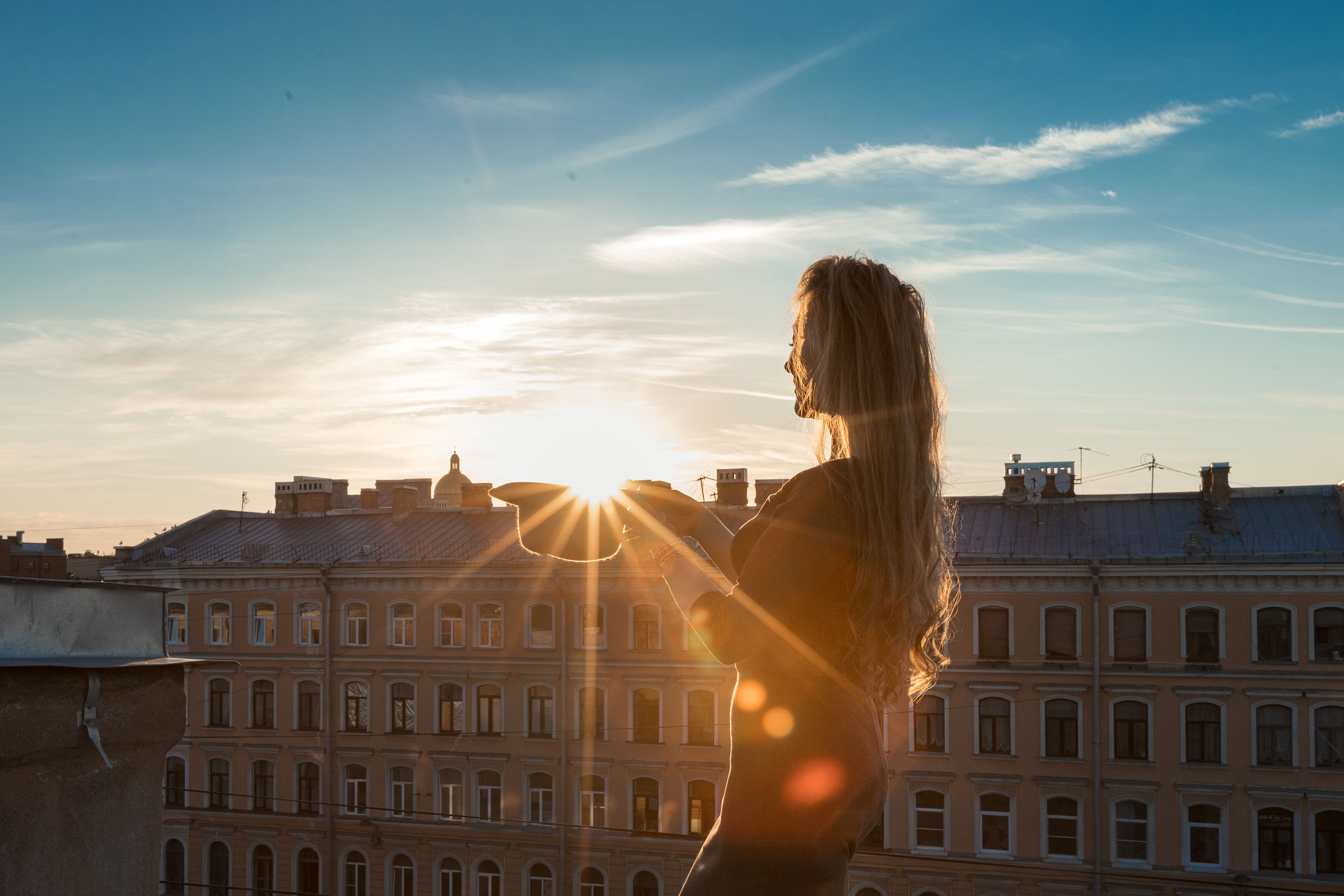 Wheat Grains during Sunset · Free Stock Photo