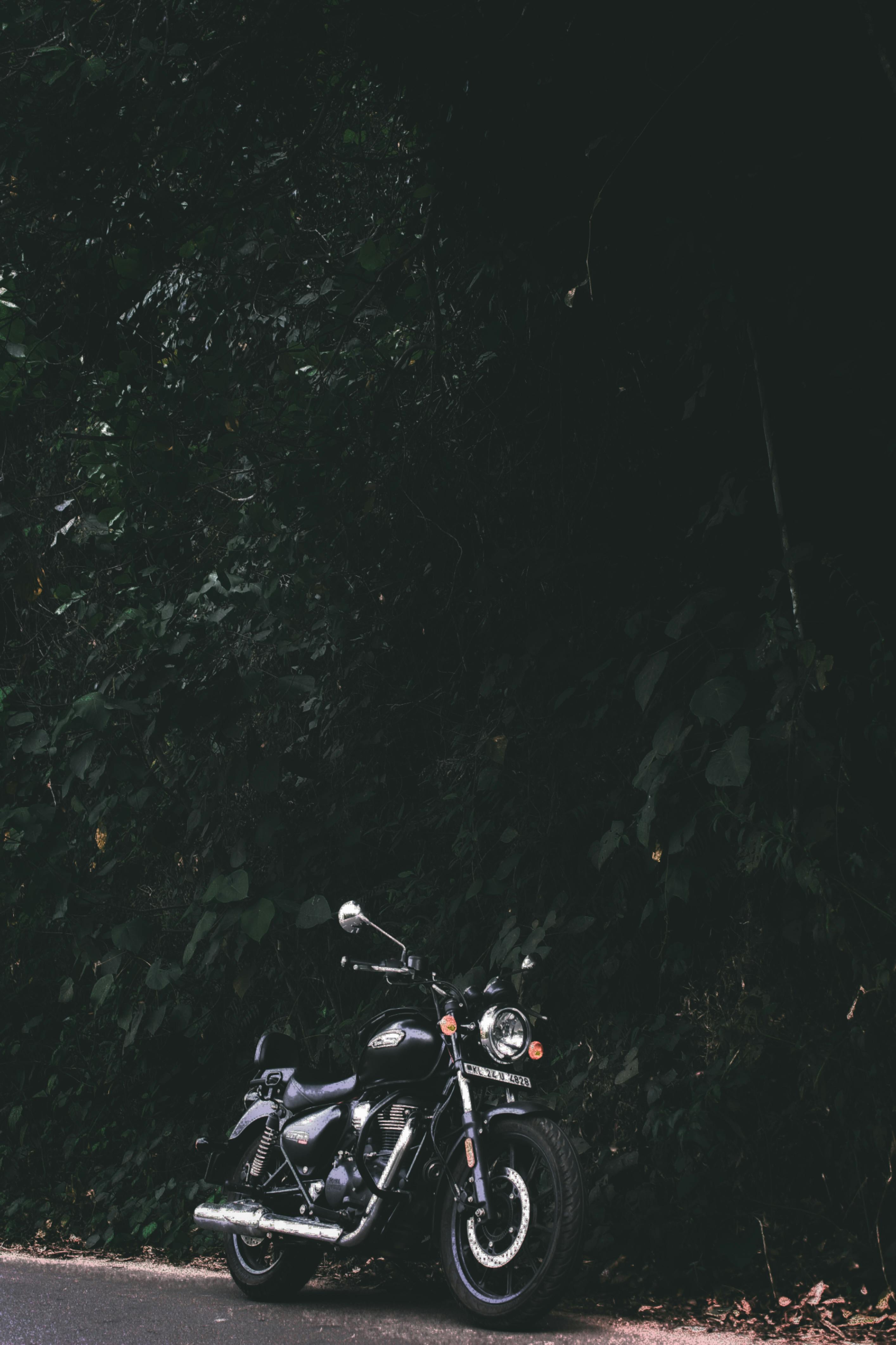 20+ Best Pixabay Photos · 100% Free Download · Pexels Stock Photos