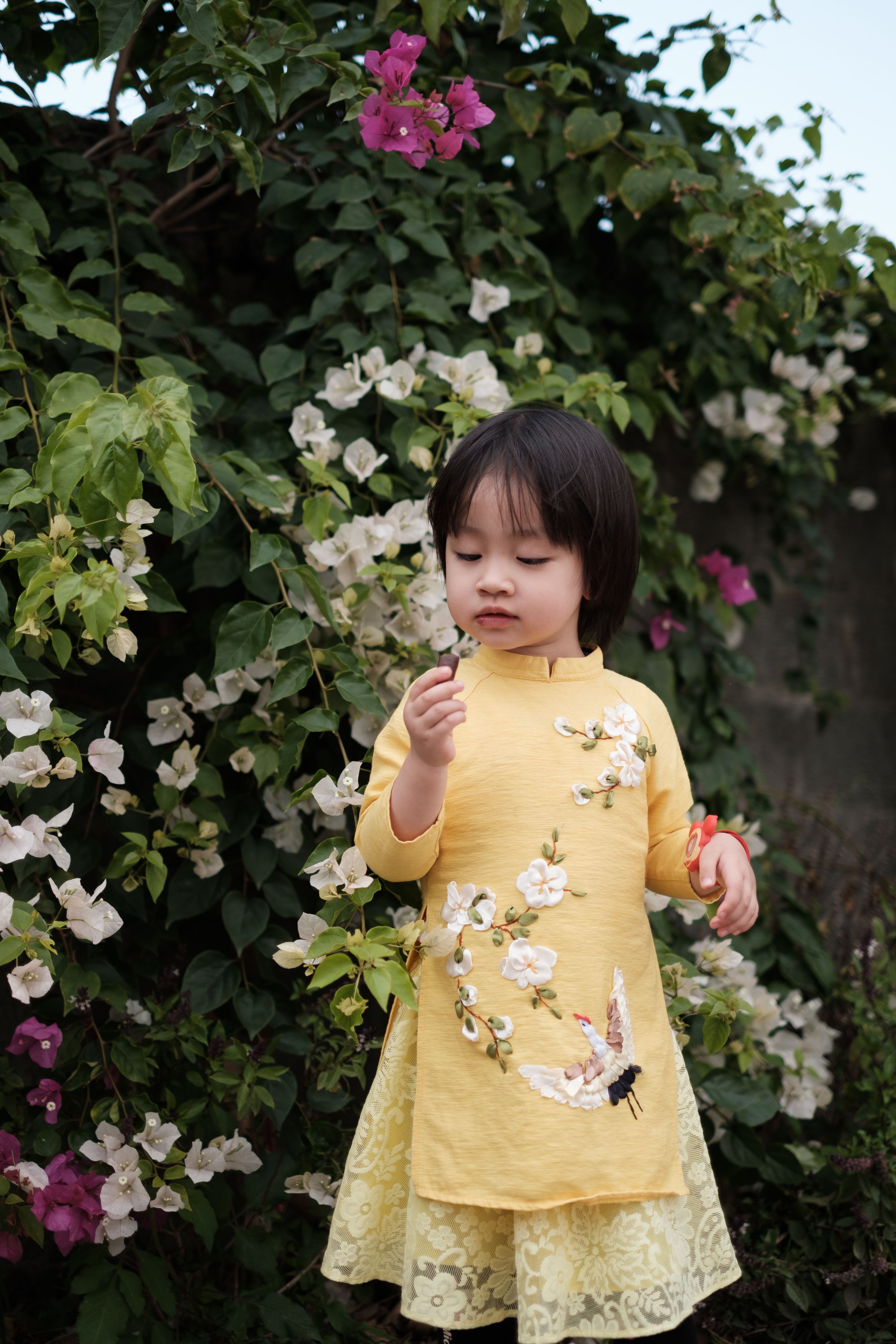 Beautiful Little Girl Bring Flower Photos, Download The BEST Free ...