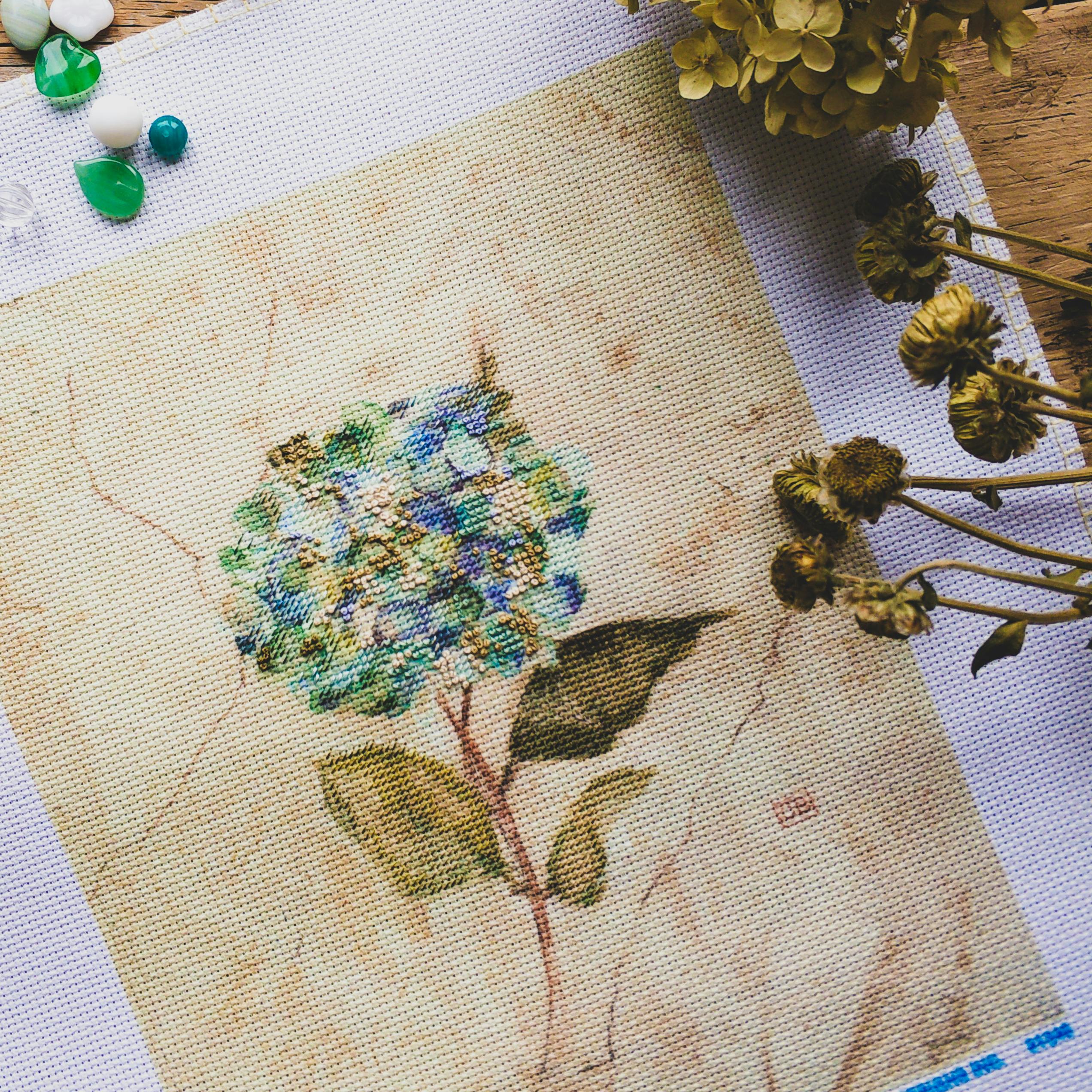 Dry Map Photos, Download The BEST Free Dry Map Stock Photos & HD Images